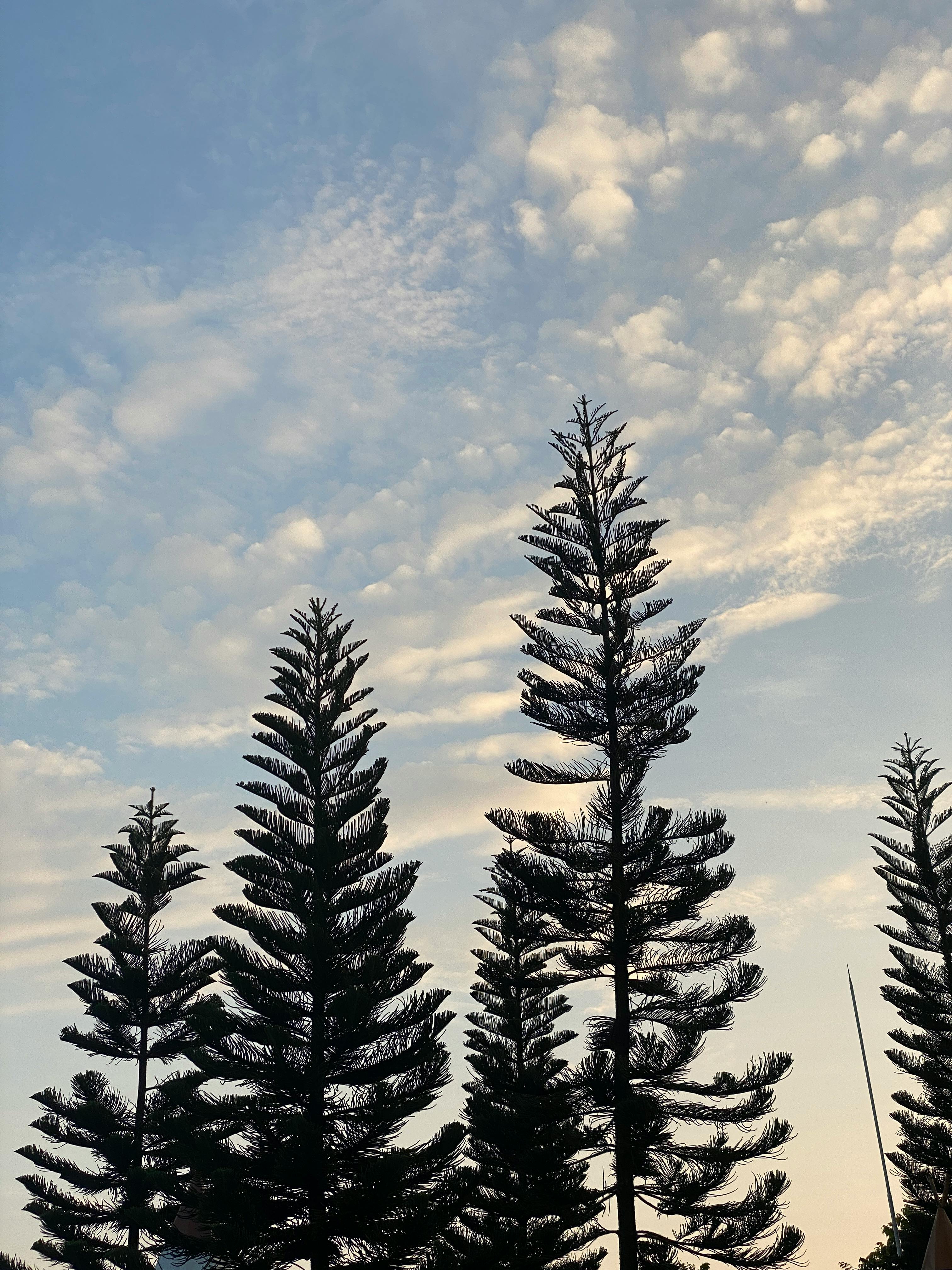 Kevin Christian - Photography