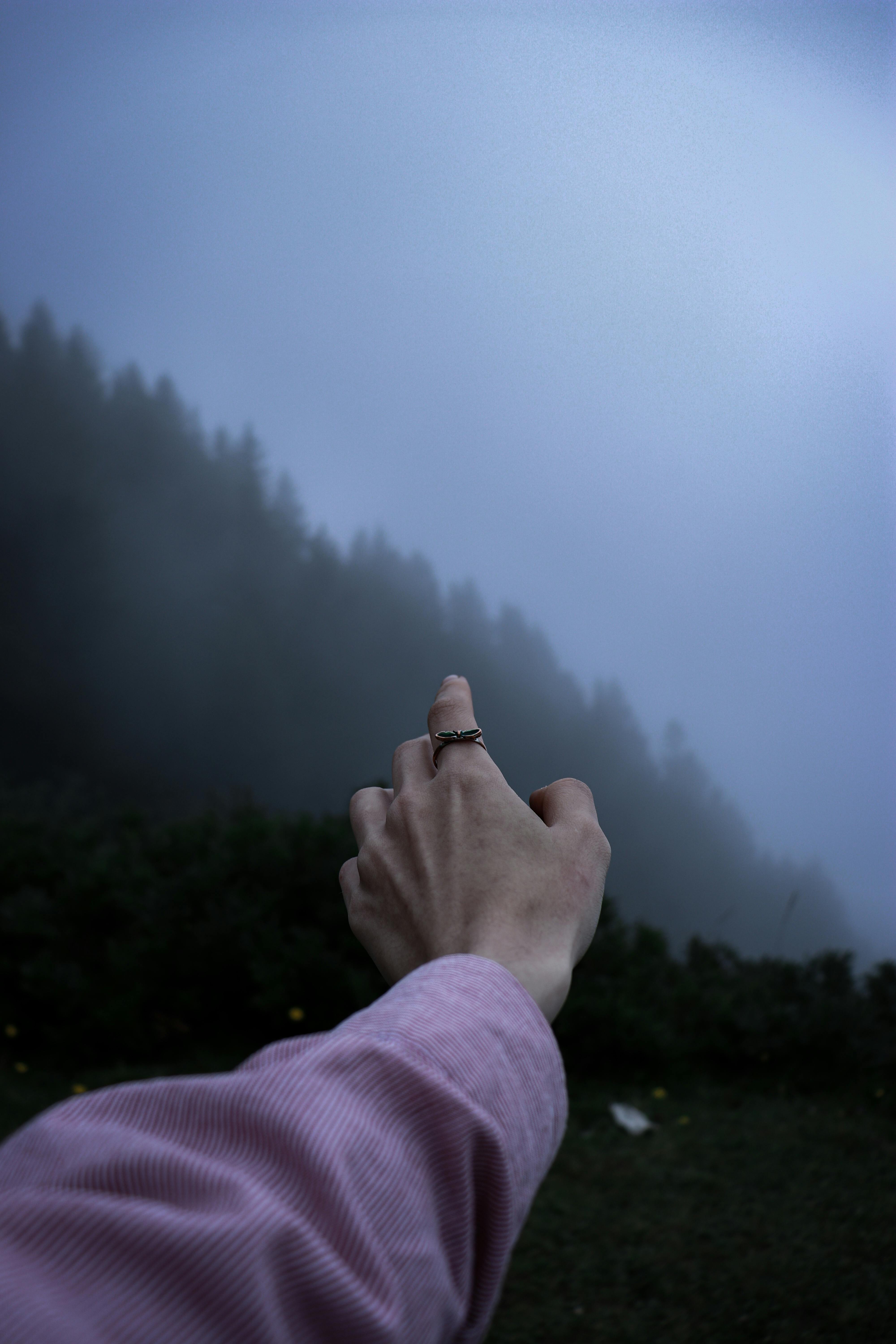 Person's Hand in Shallow Photo · Free Stock Photo