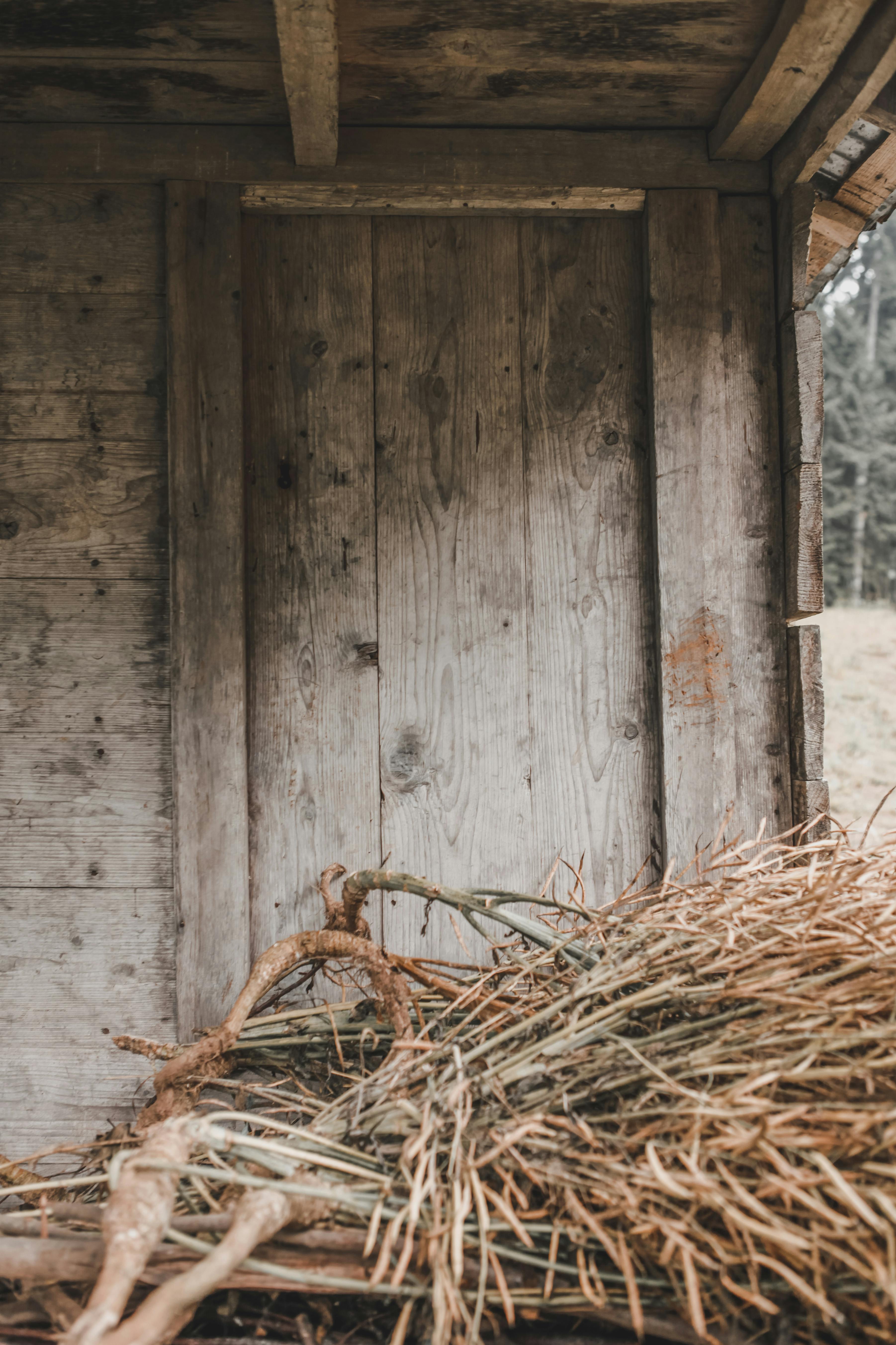 Old Rustic Barn with Hay · Free Stock Photo