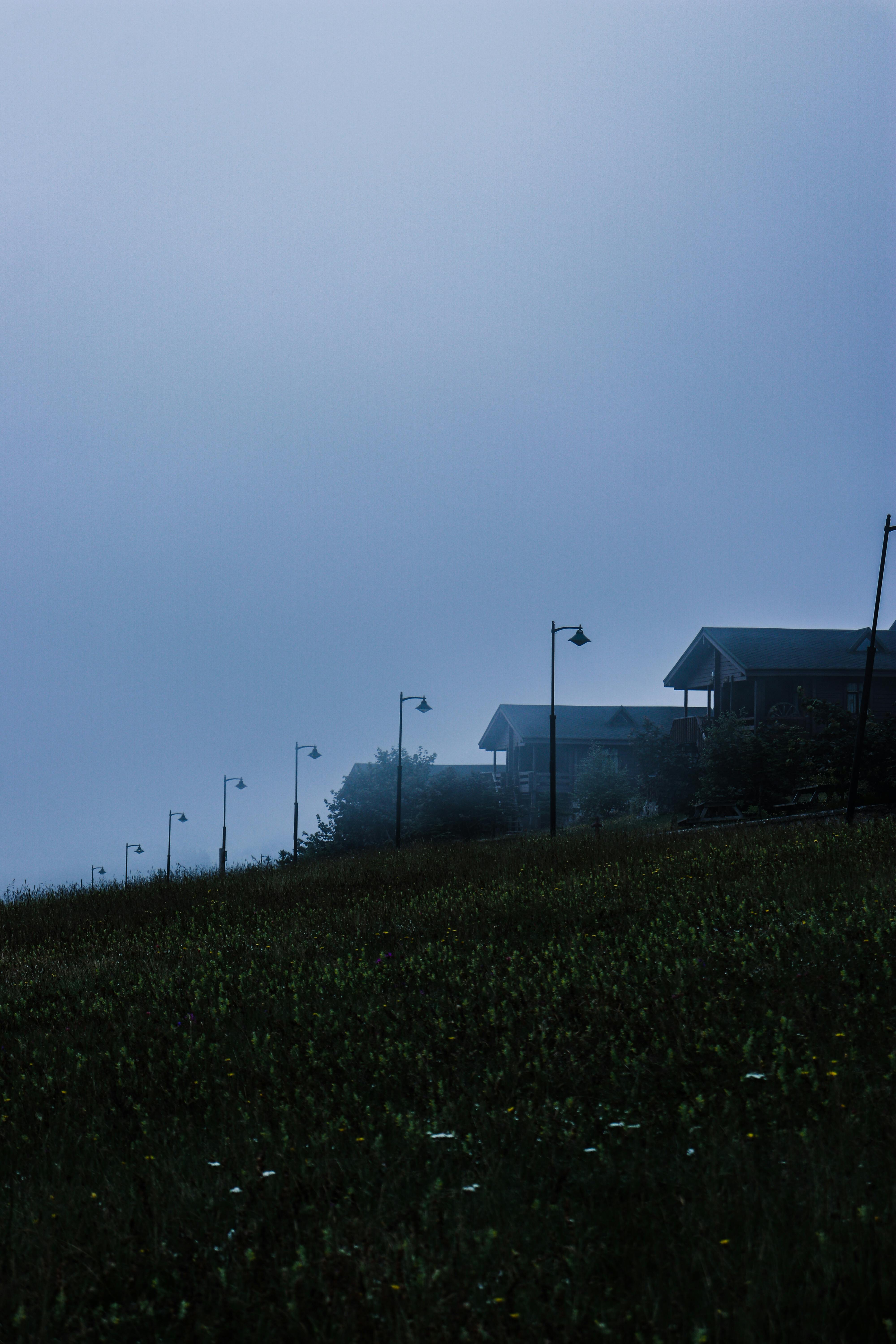 Violet Meadow and Surreal Checked House · Free Stock Photo