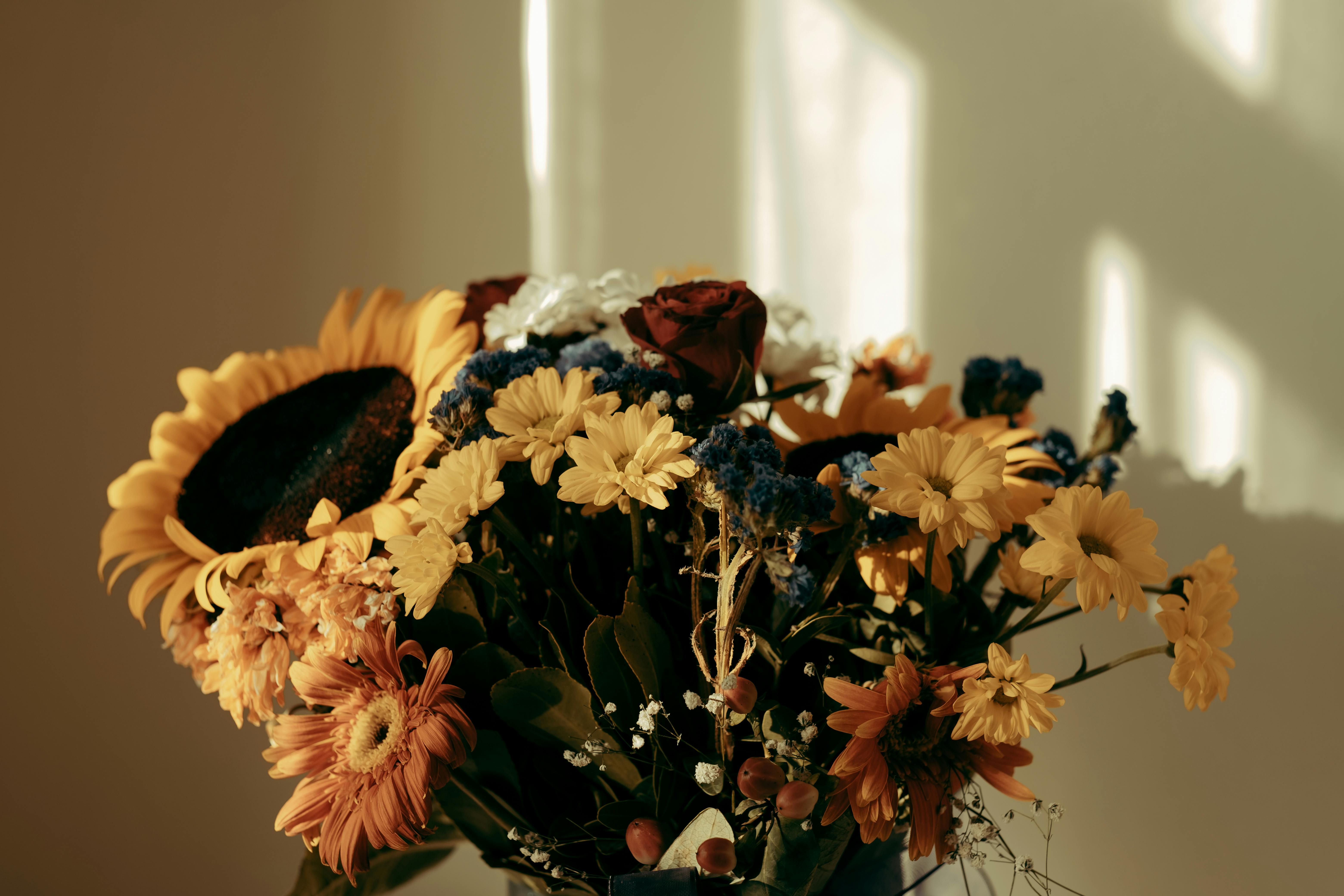 Red Roses on the Bed · Free Stock Photo