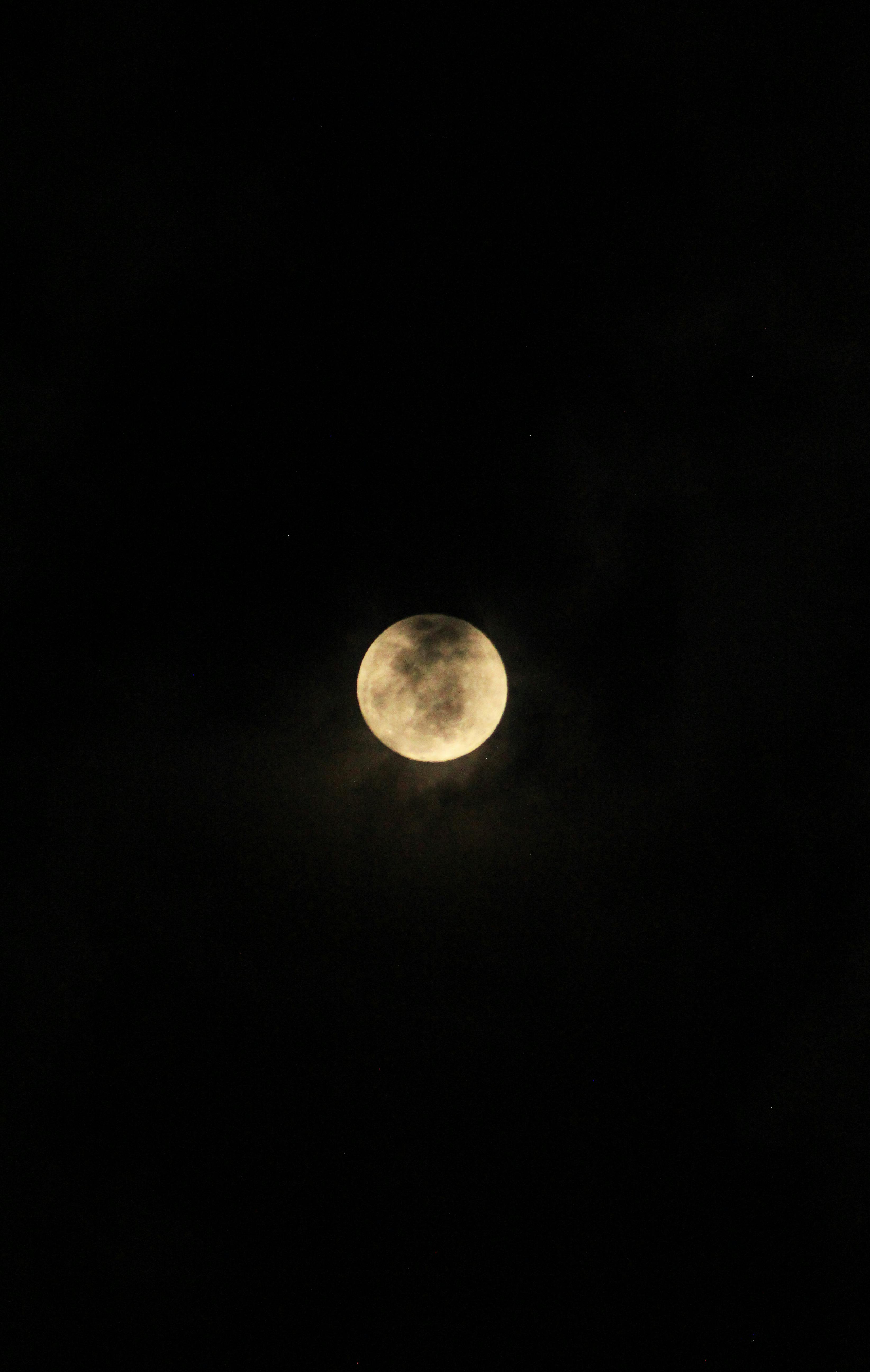 Full Moon in the Night Sky · Free Stock Photo