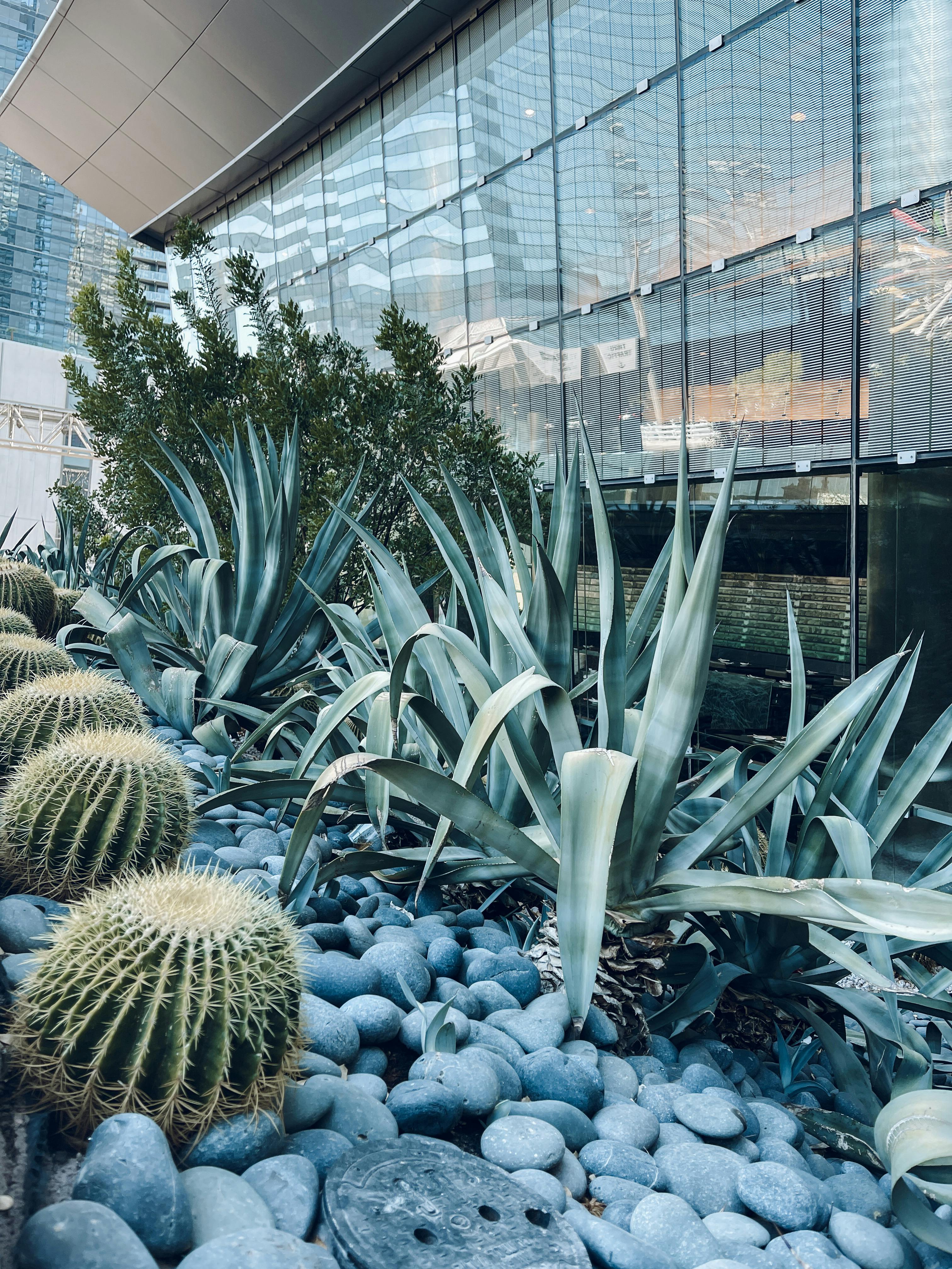 Plants outside a Building · Free Stock Photo