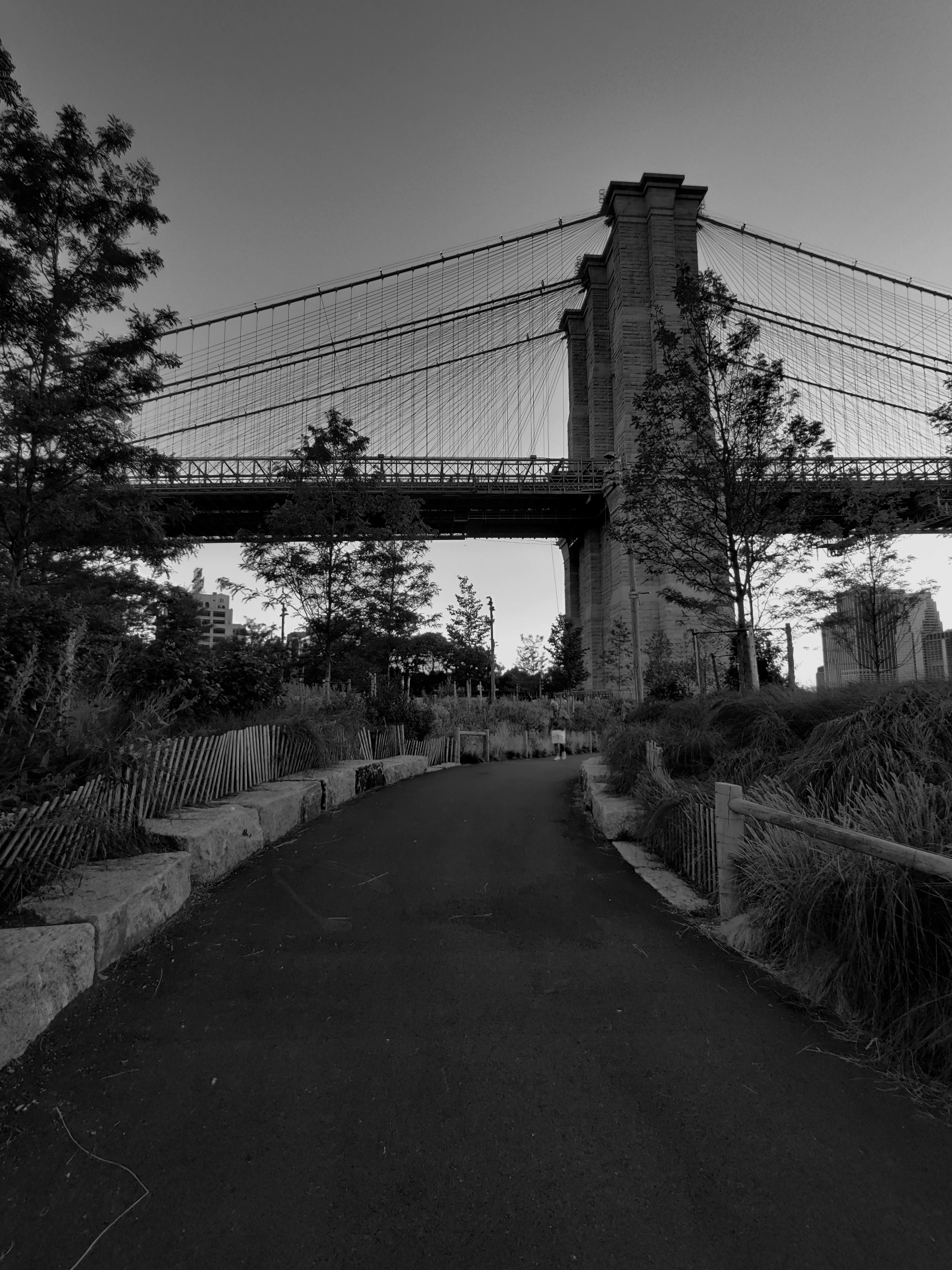 Jeffrey Riley - Photography