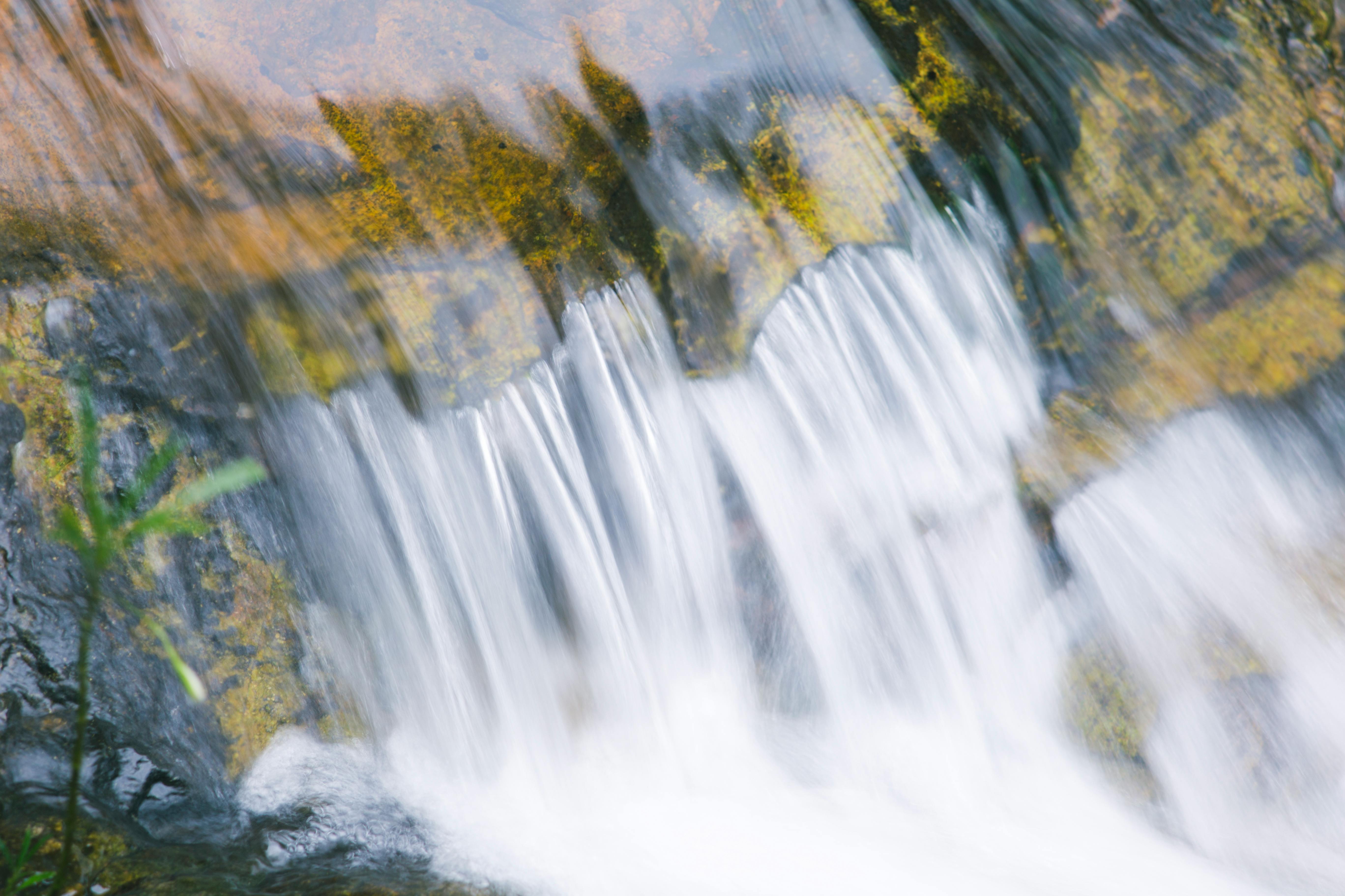 Free stock photo of natural, nature, park