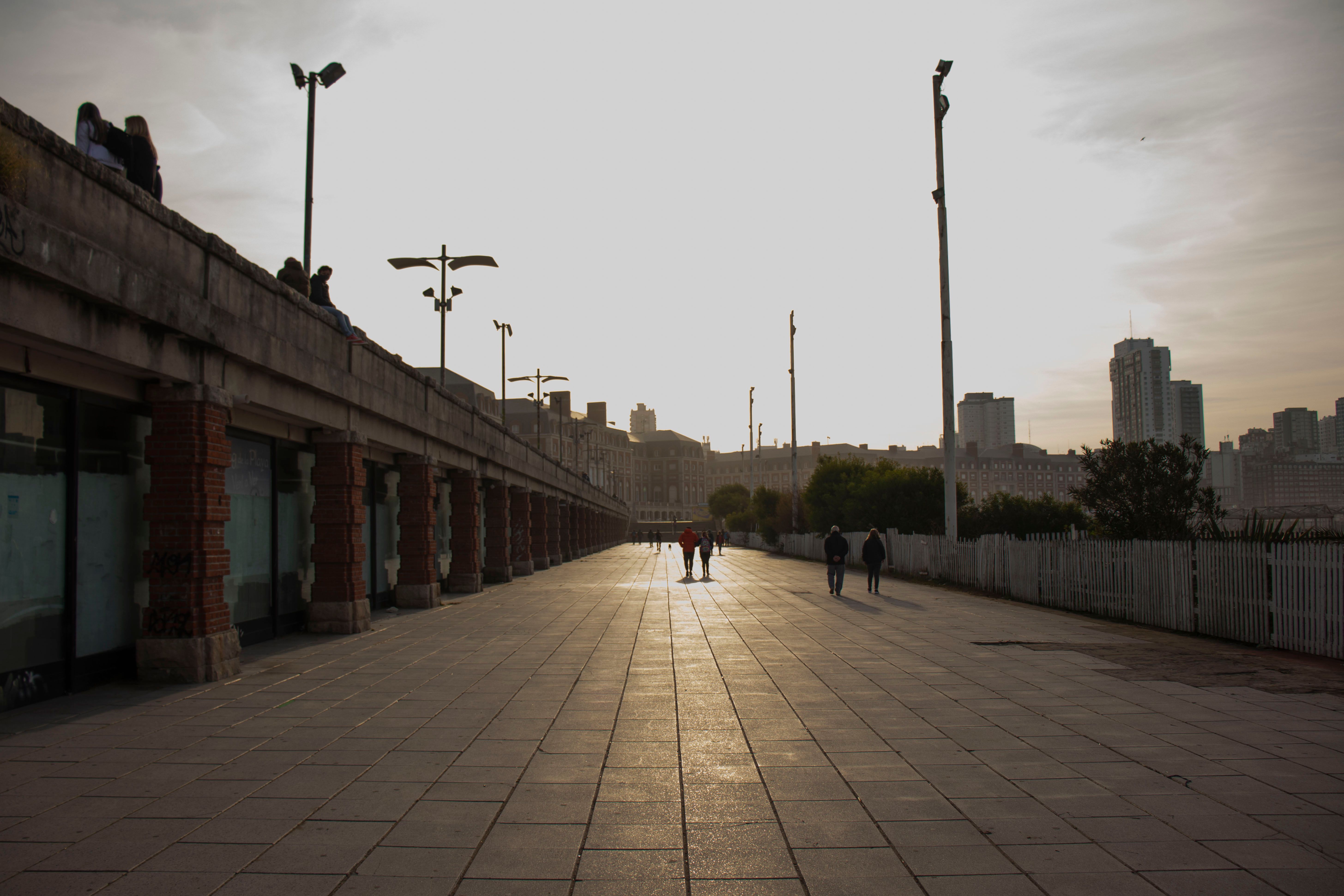 People Walking on Pavement · Free Stock Photo