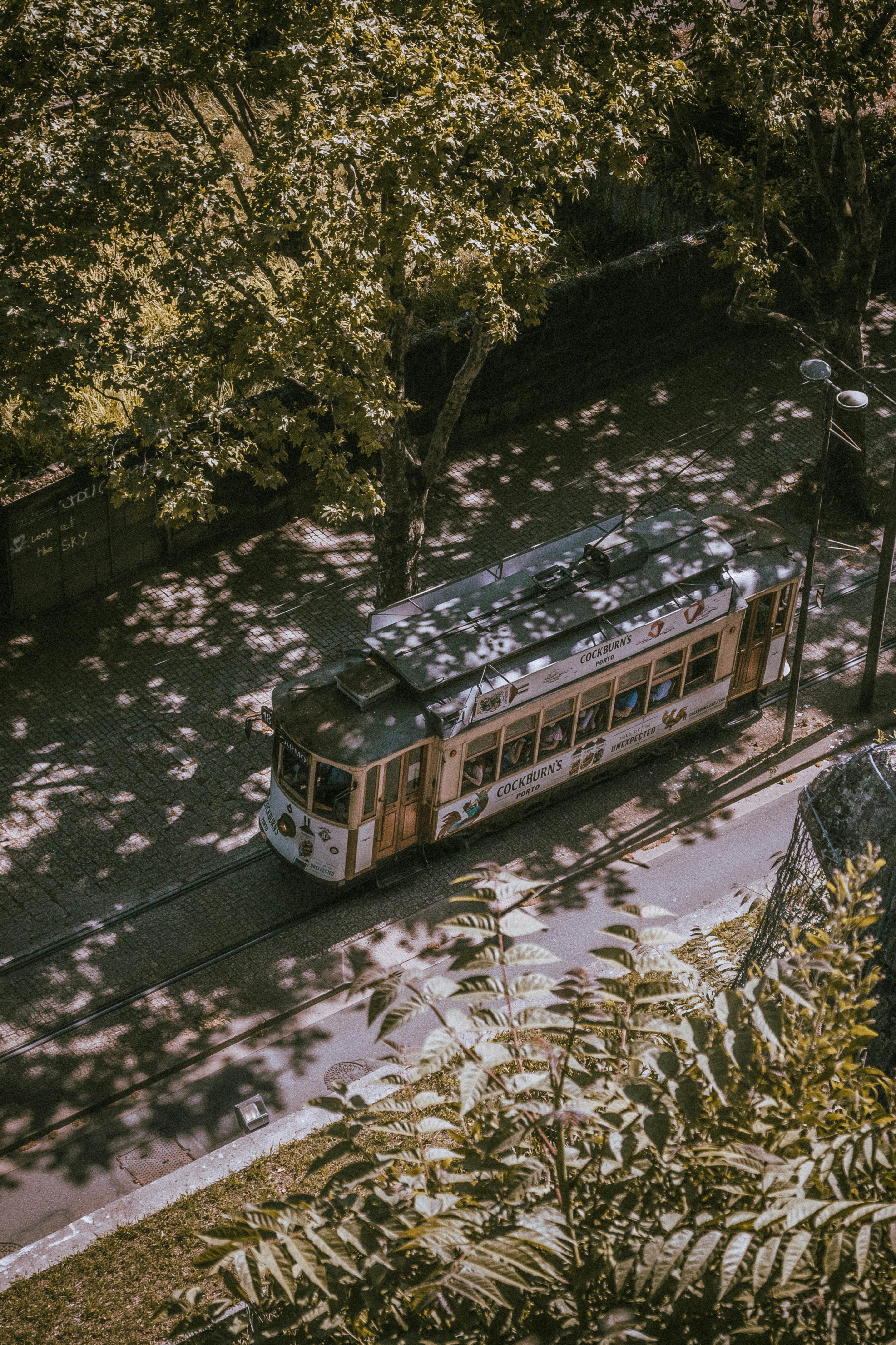 Tram Branch Photos, Download The BEST Free Tram Branch Stock Photos ...