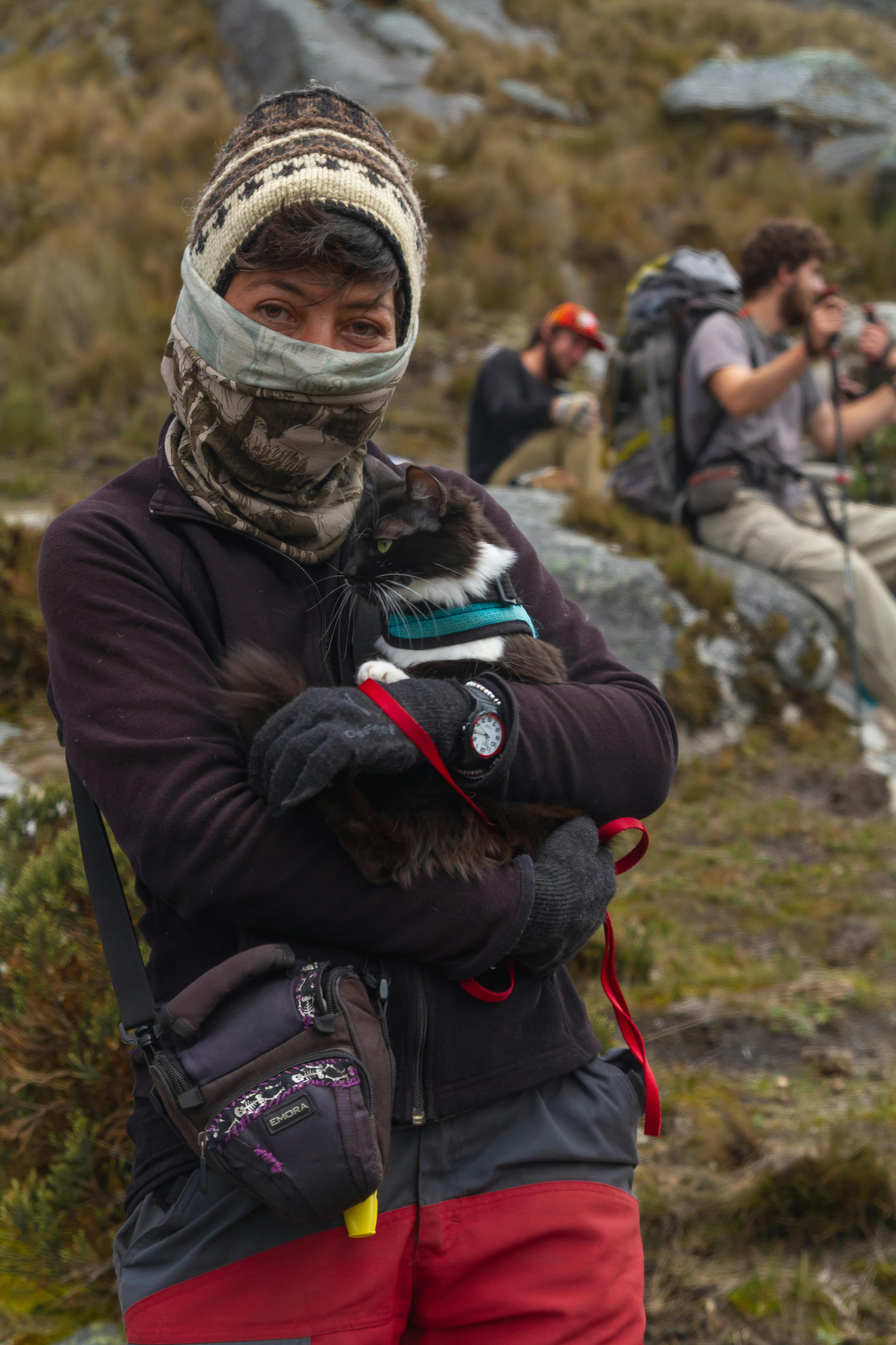 Human And Cat In A Bag Photos, Download The BEST Free Human And Cat In ...