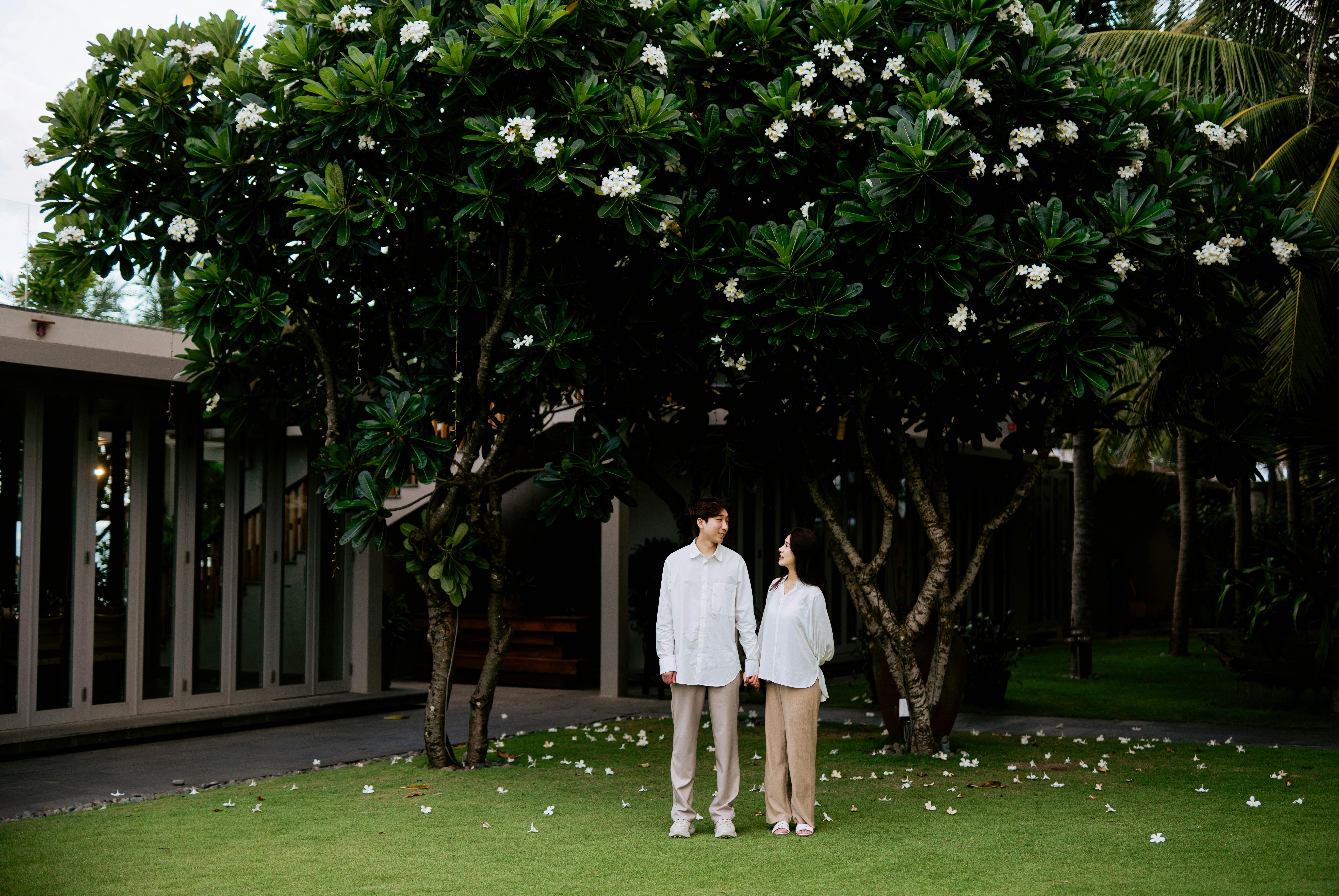 Couple Standing under a Tree · Free Stock Photo