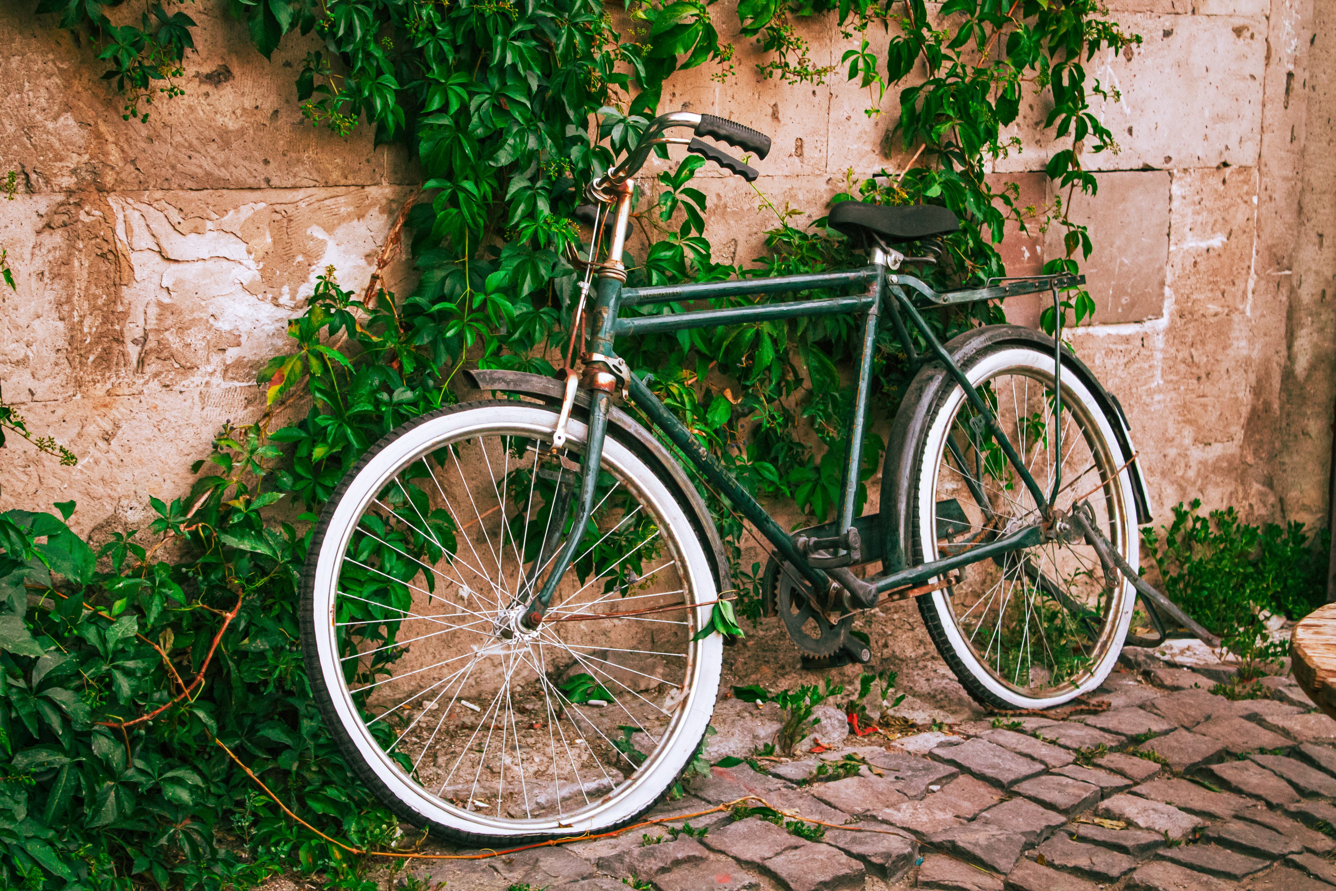 Bicycle Burger Photos, Download Free Bicycle Burger Stock Photos & HD ...