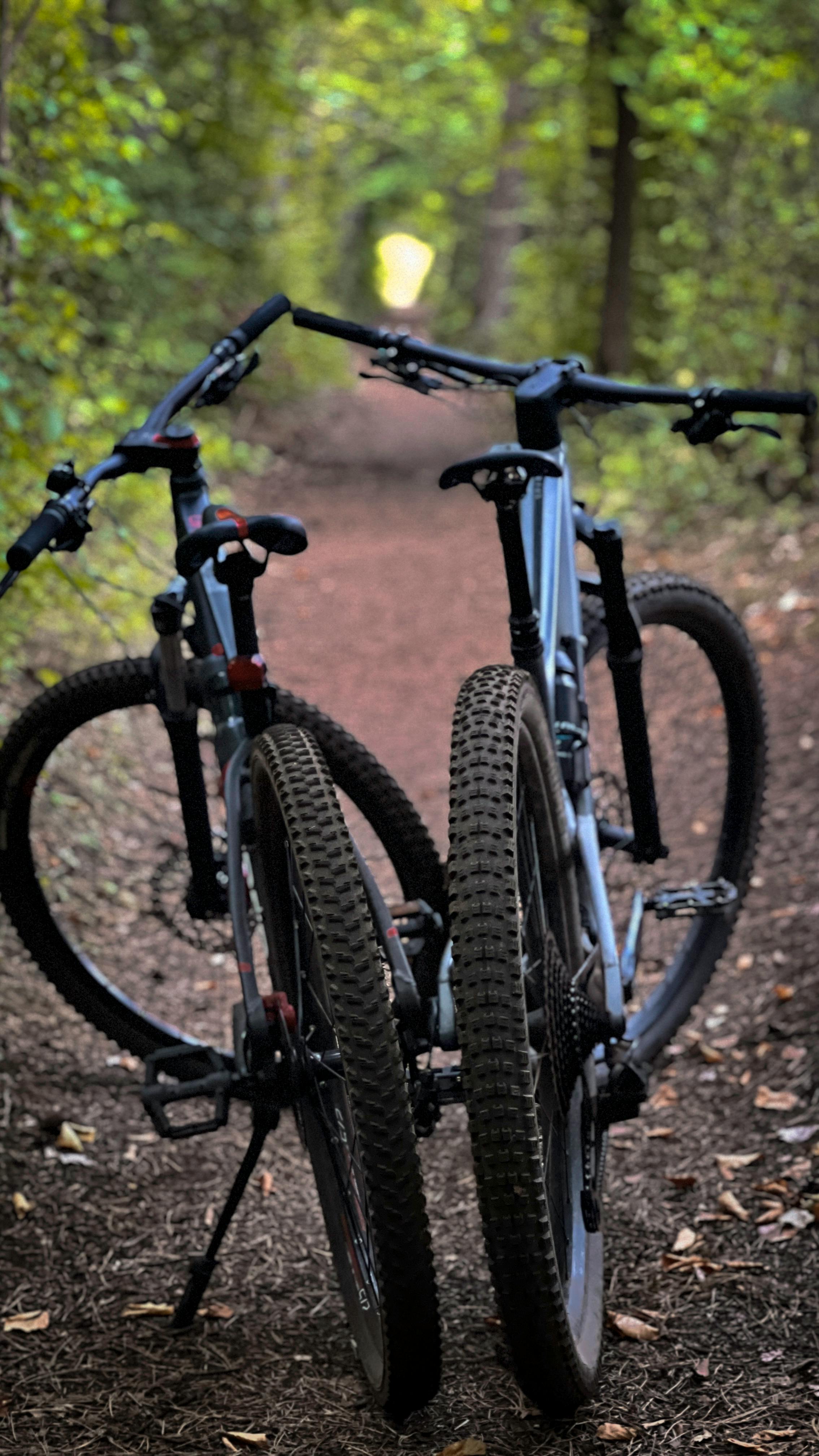 A Two Mountain Bikes on the Forest · Free Stock Photo