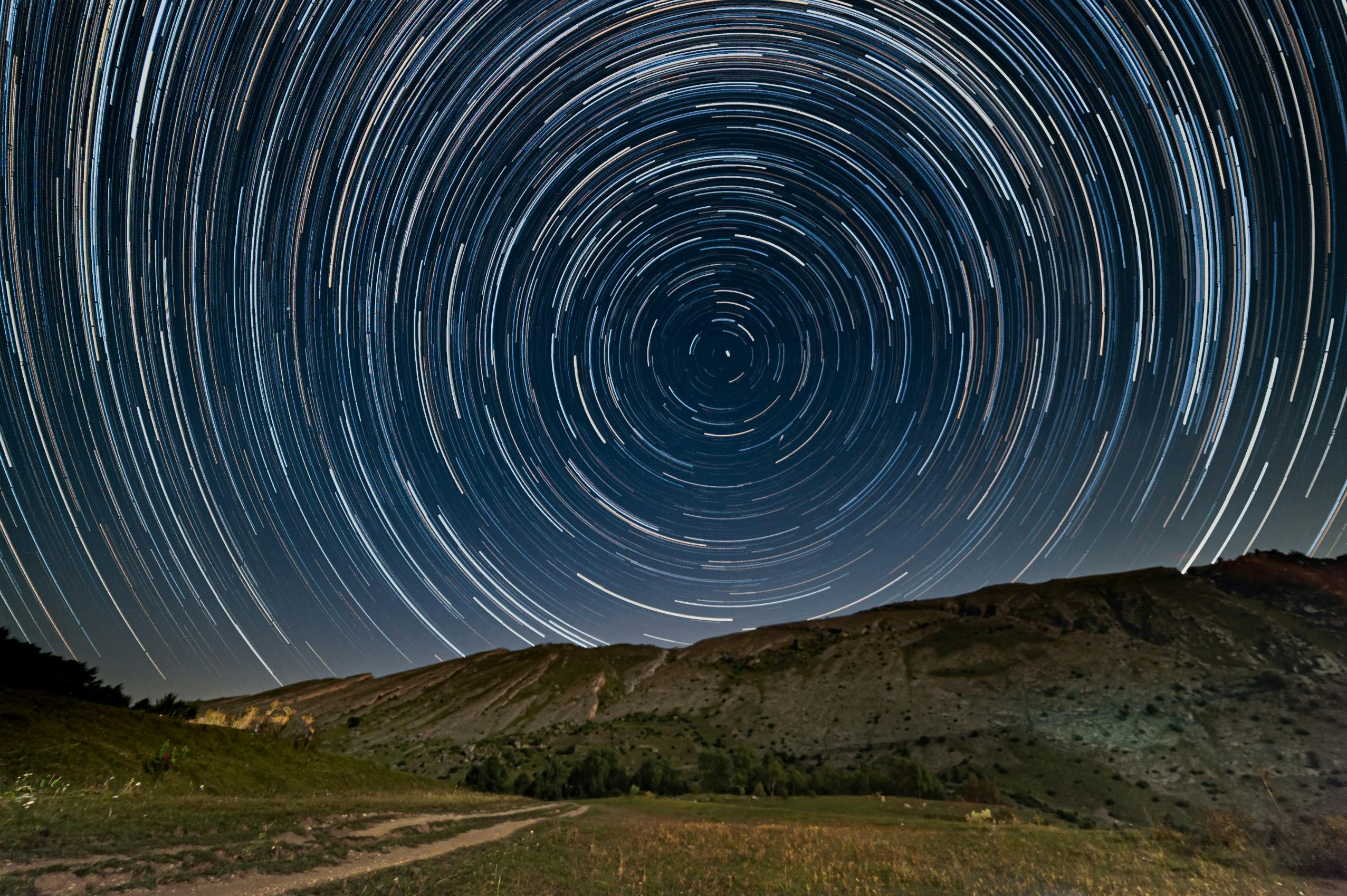 Long Exposure of Photography of Brown Tree · Free Stock Photo