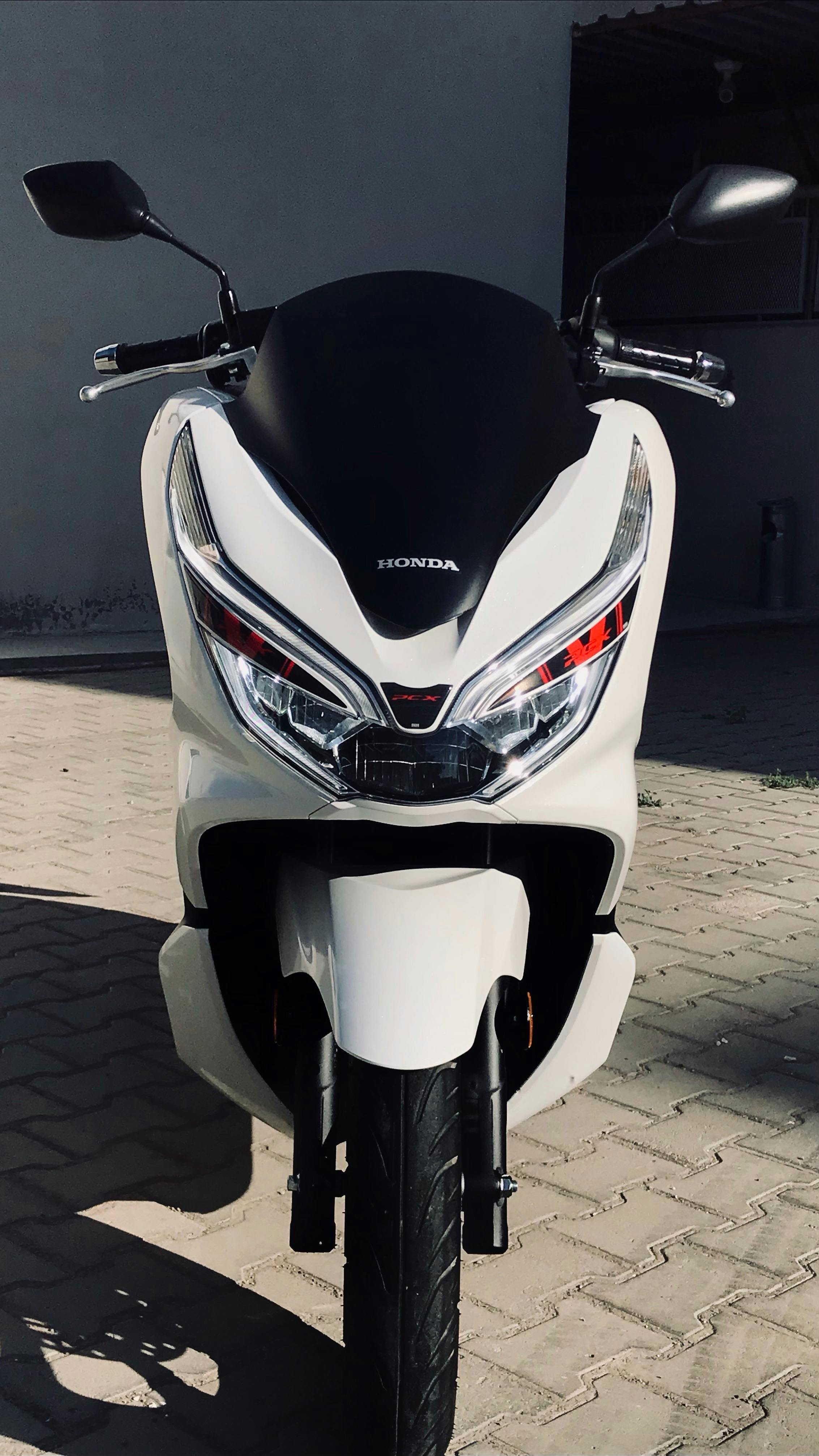 Front View of a Honda Scooter · Free Stock Photo
