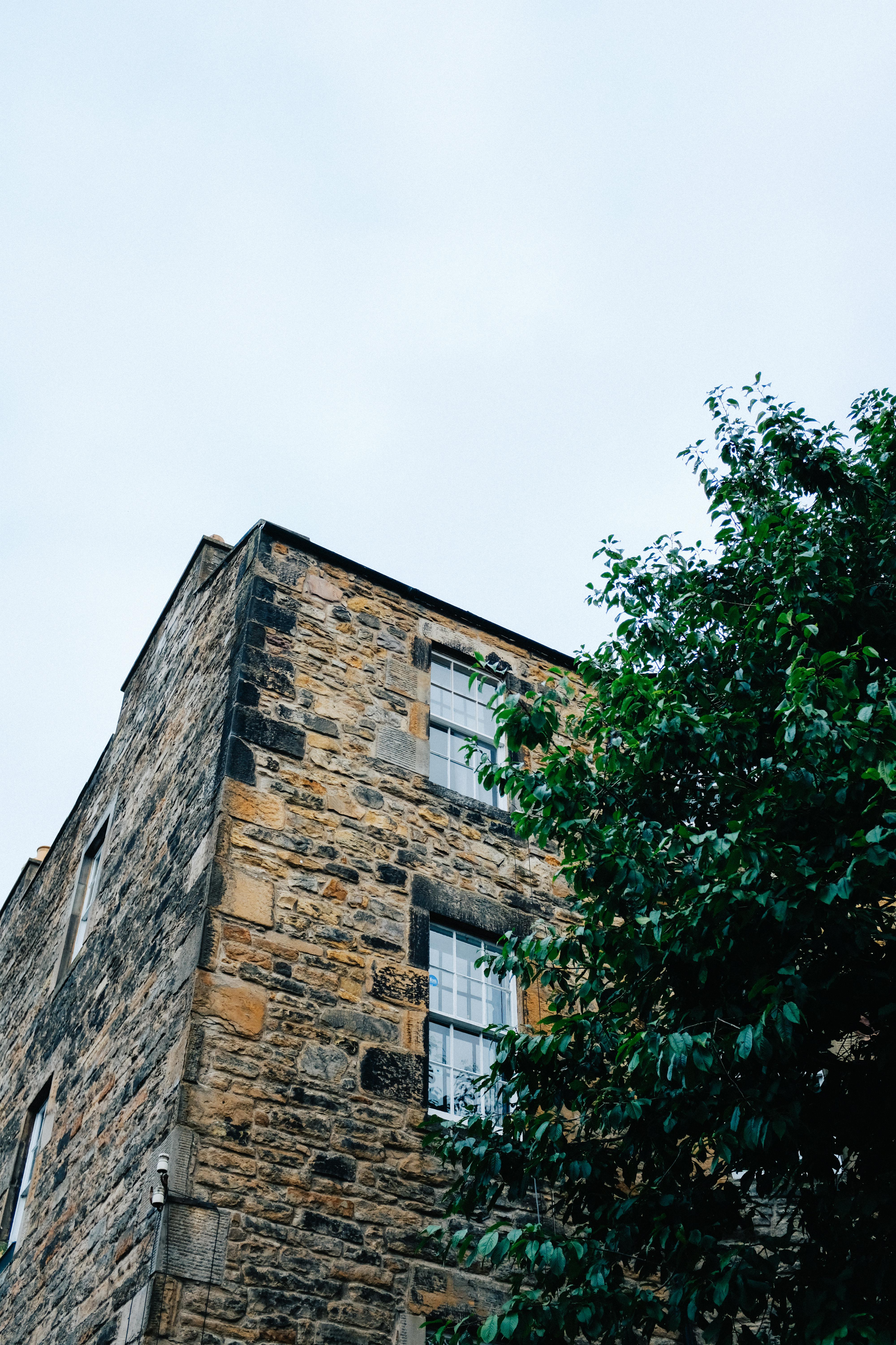 Cobblestone Structure Near Green Plants · Free Stock Photo