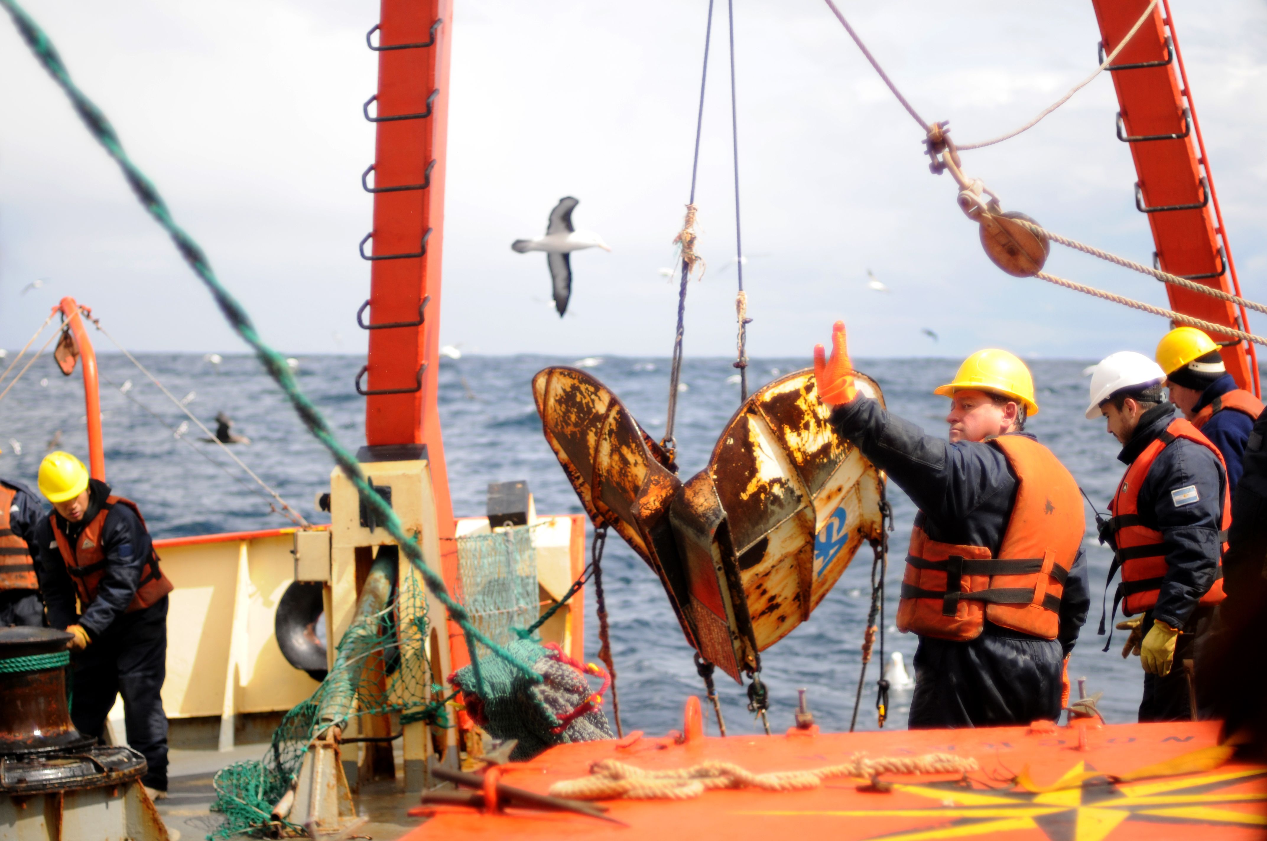 Foto de stock gratuita sobre barco, bipo puerto deseado, compañeros de ...