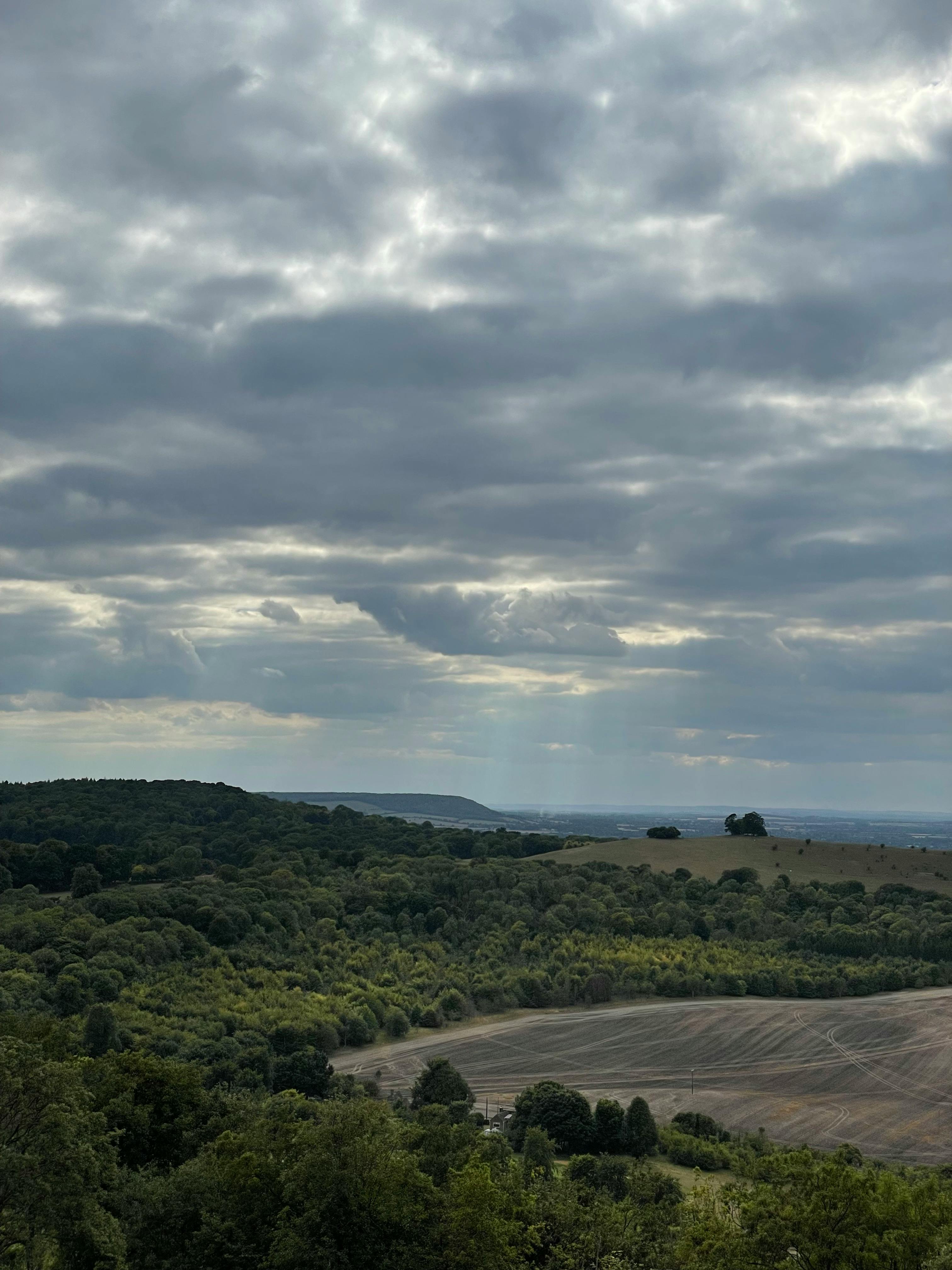 Aerial View of Green Trees · Free Stock Photo
