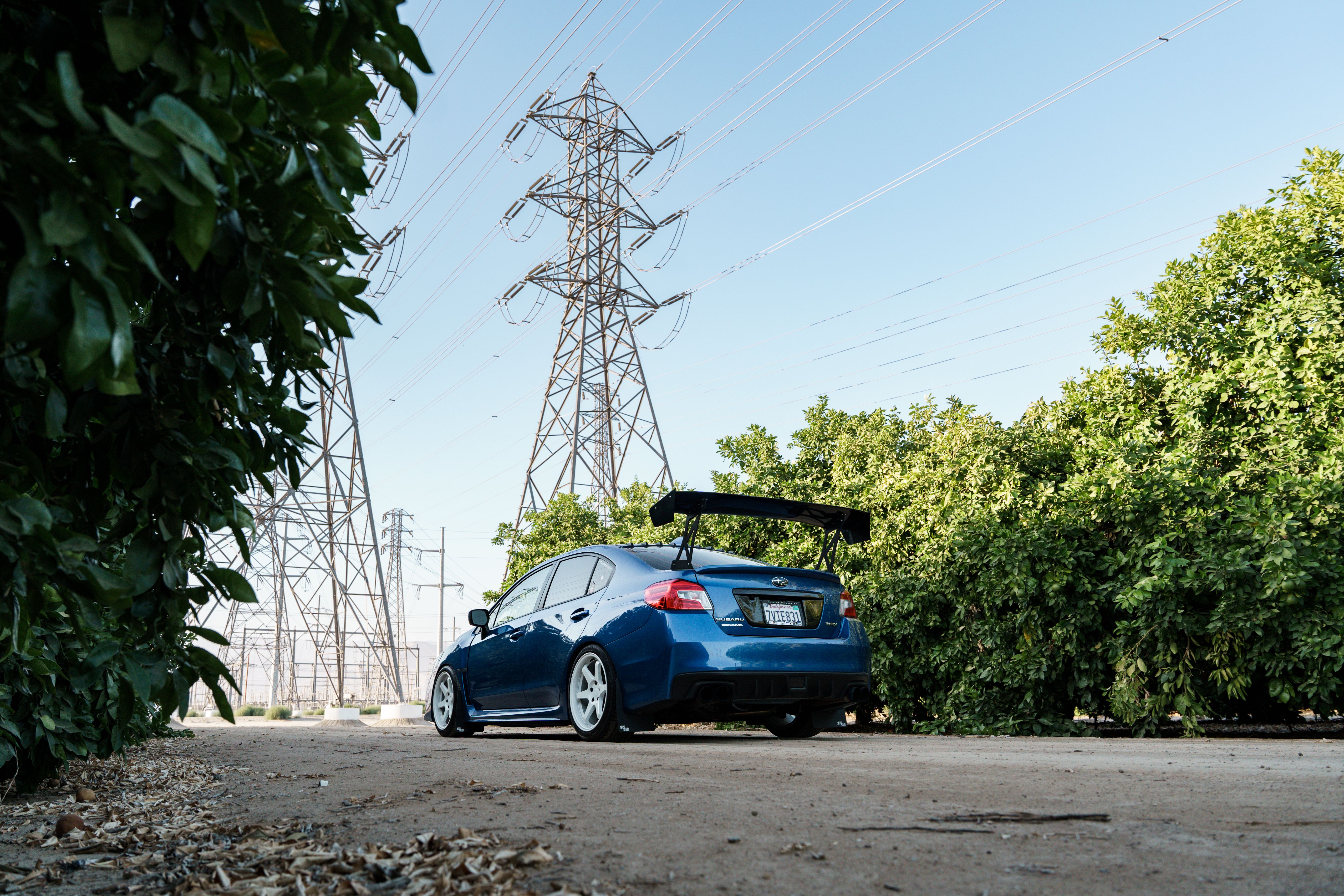 Blue Car Parked Beside Green Trees · Free Stock Photo