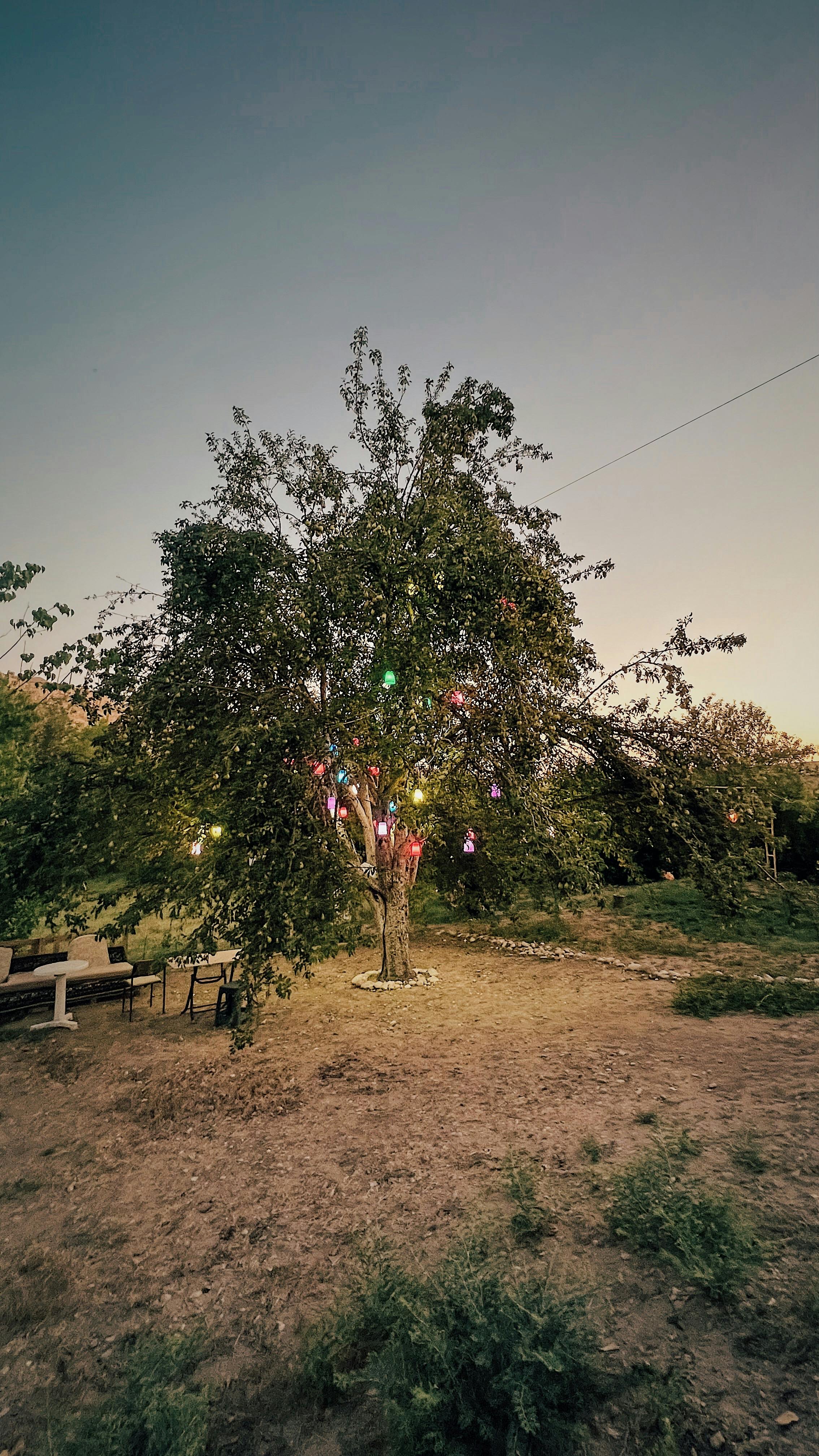 Black String Lights Beside Brown Curtain · Free Stock Photo