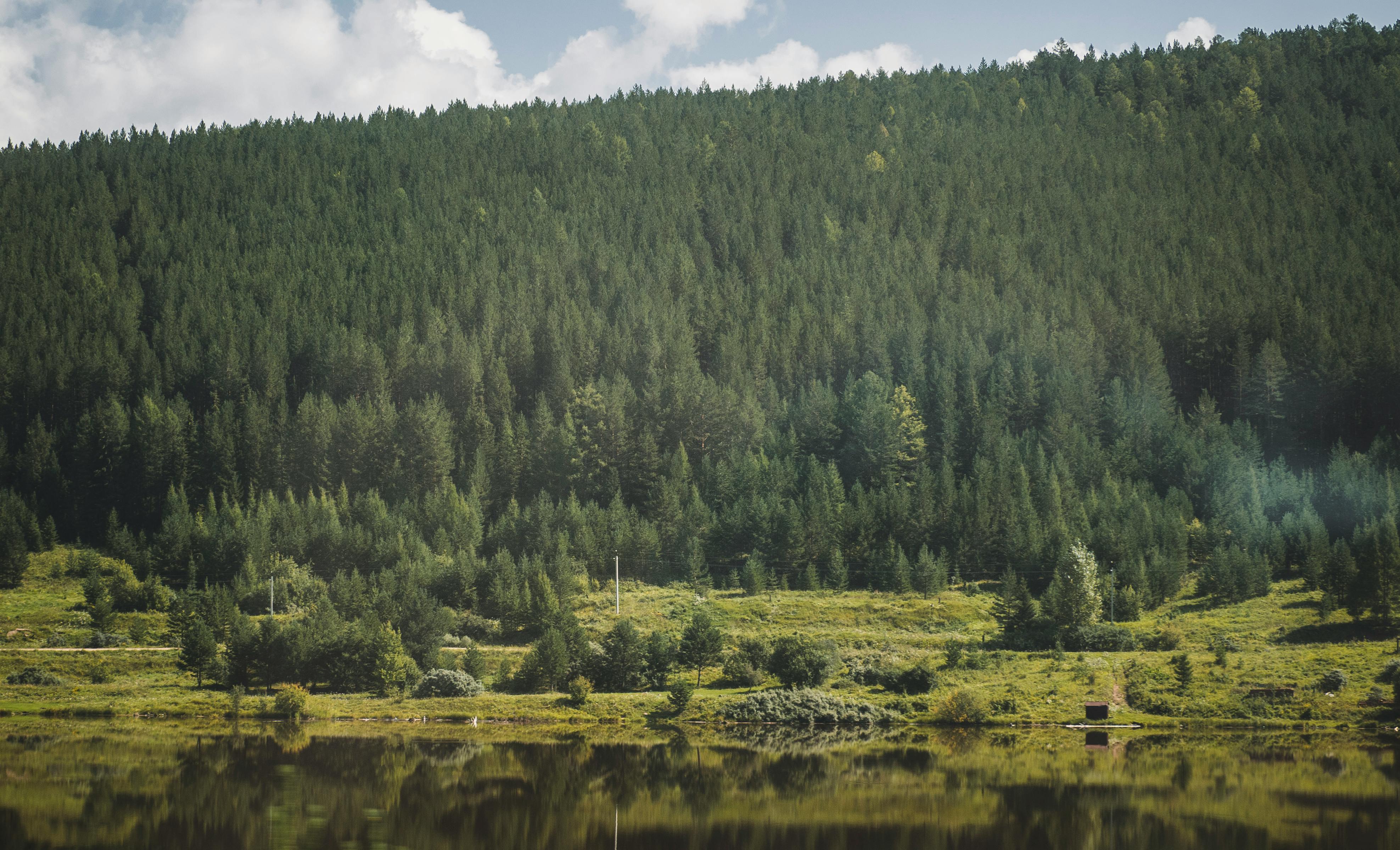 Task Environment Photos, Download Free Task Environment Stock Photos ...