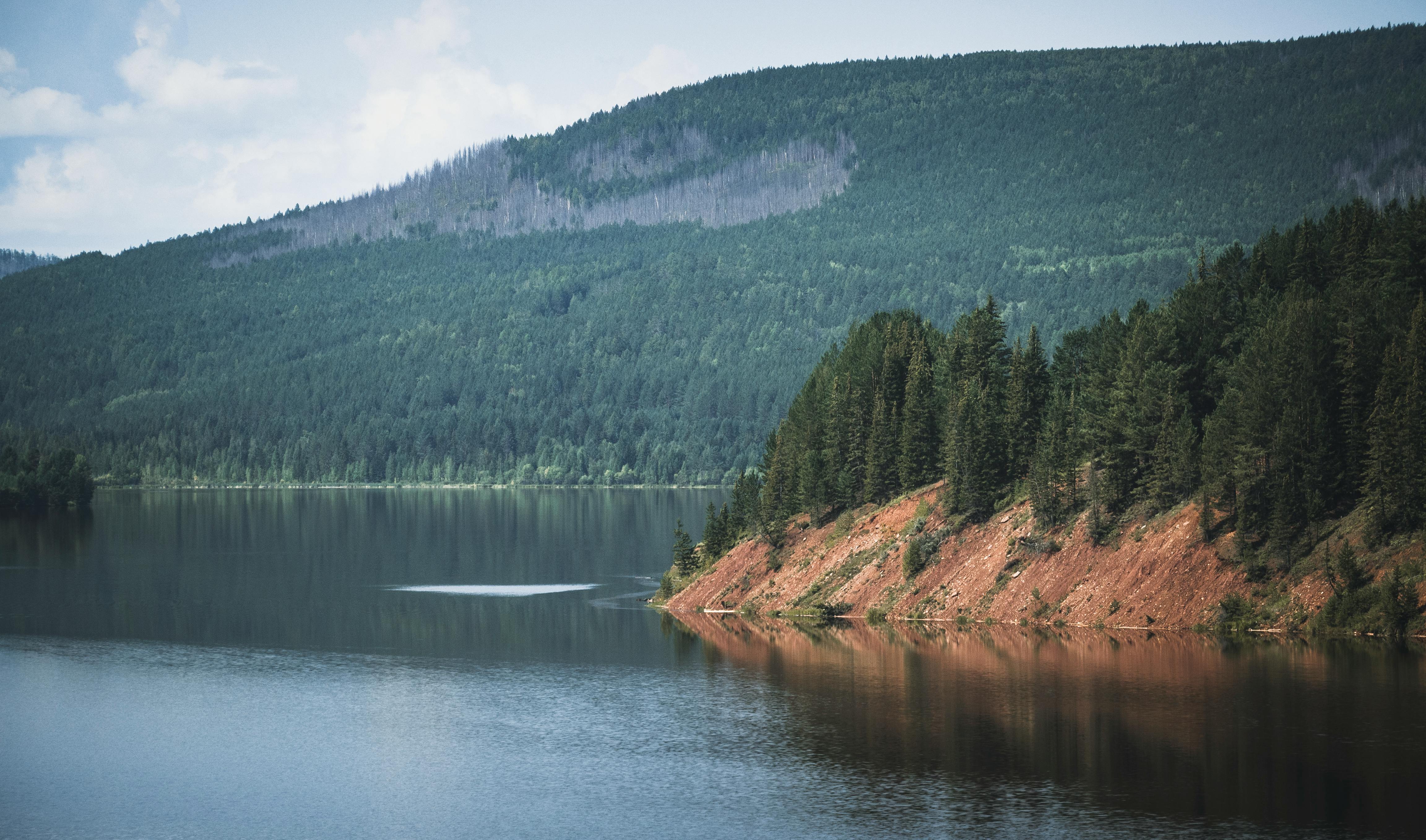 Vitim Photos, Download The BEST Free Vitim Stock Photos & HD Images