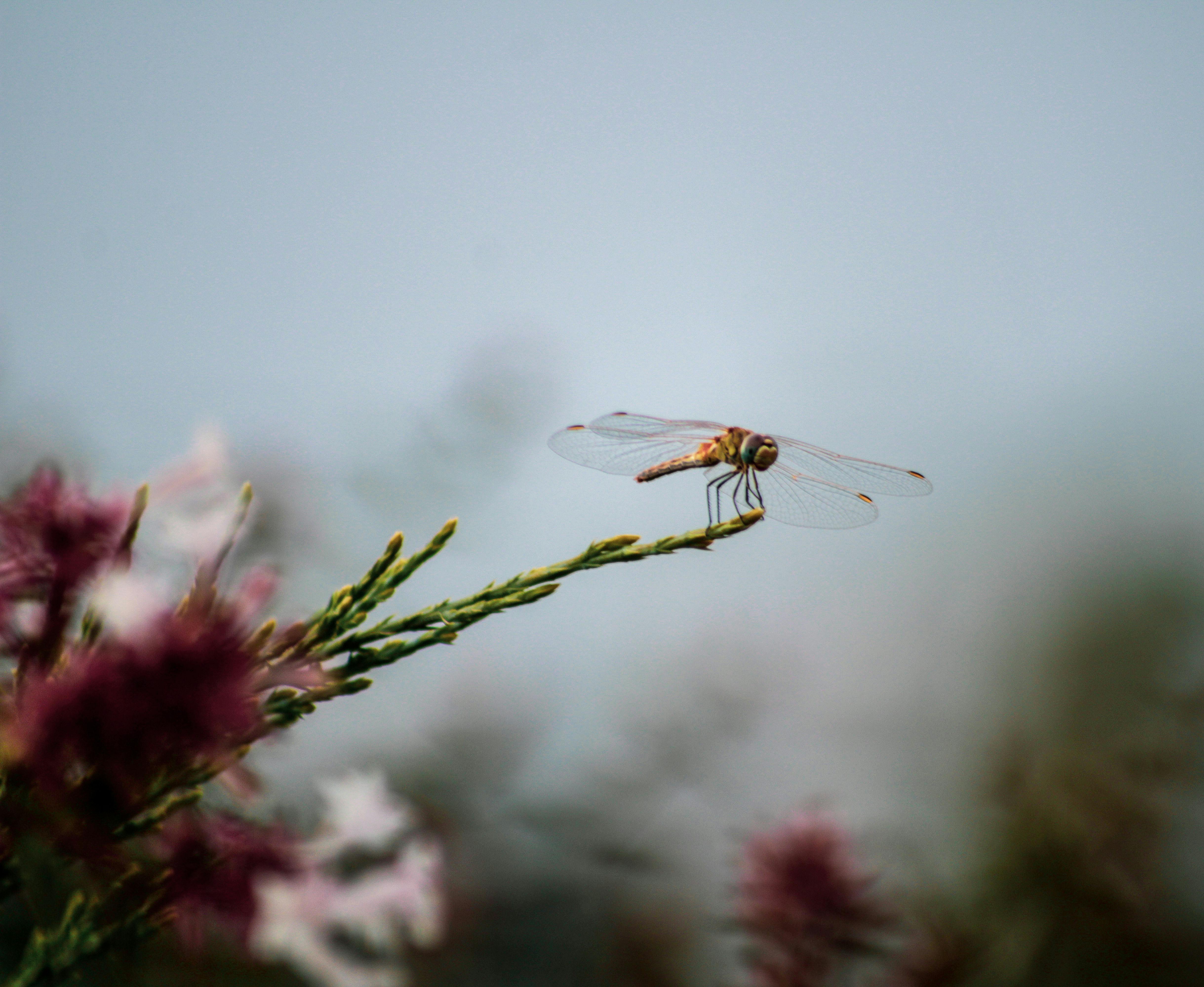 Turan Kadir Kara - Photography