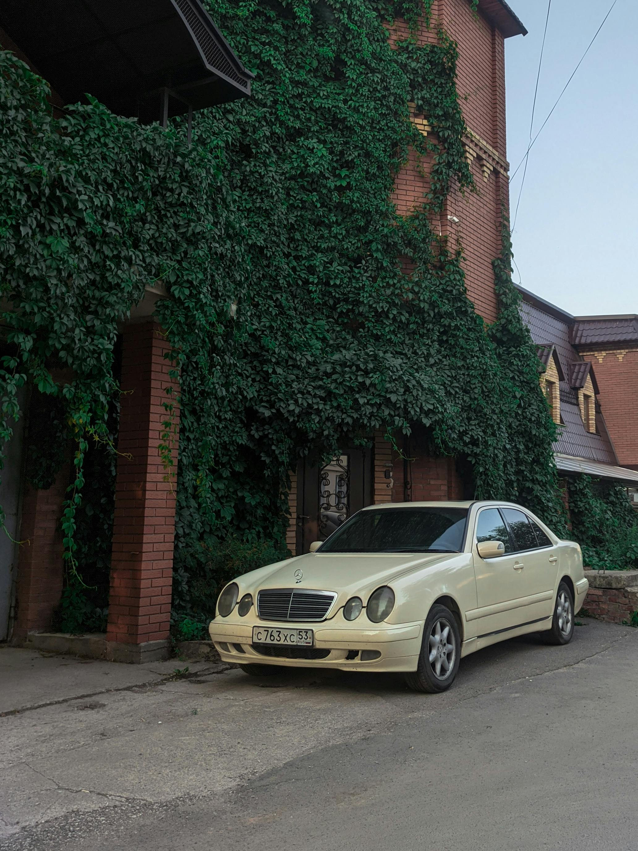 Car Vine Photos, Download The BEST Free Car Vine Stock Photos & HD Images