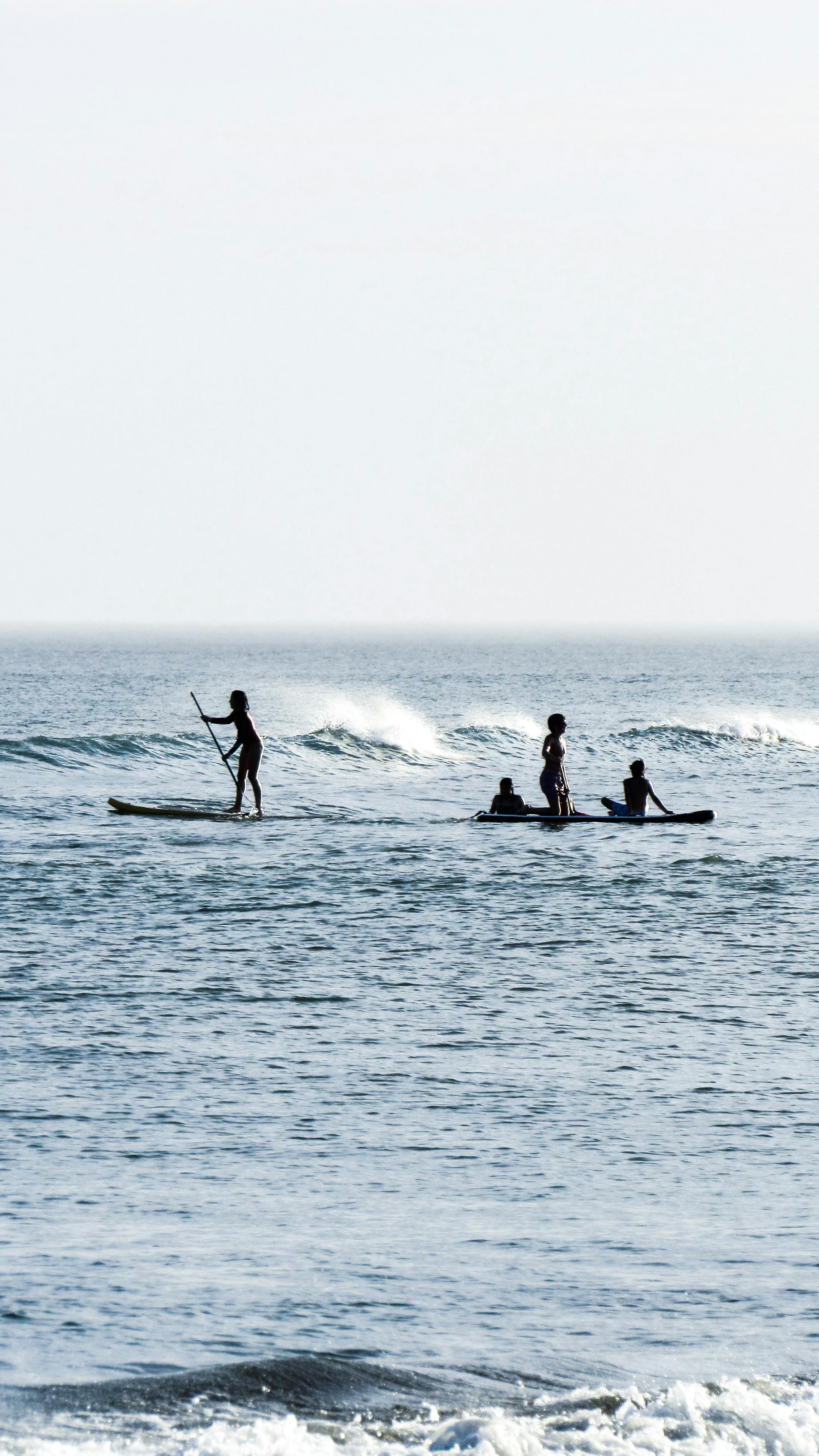 Group of People Paddleboarding in Summer · Free Stock Photo