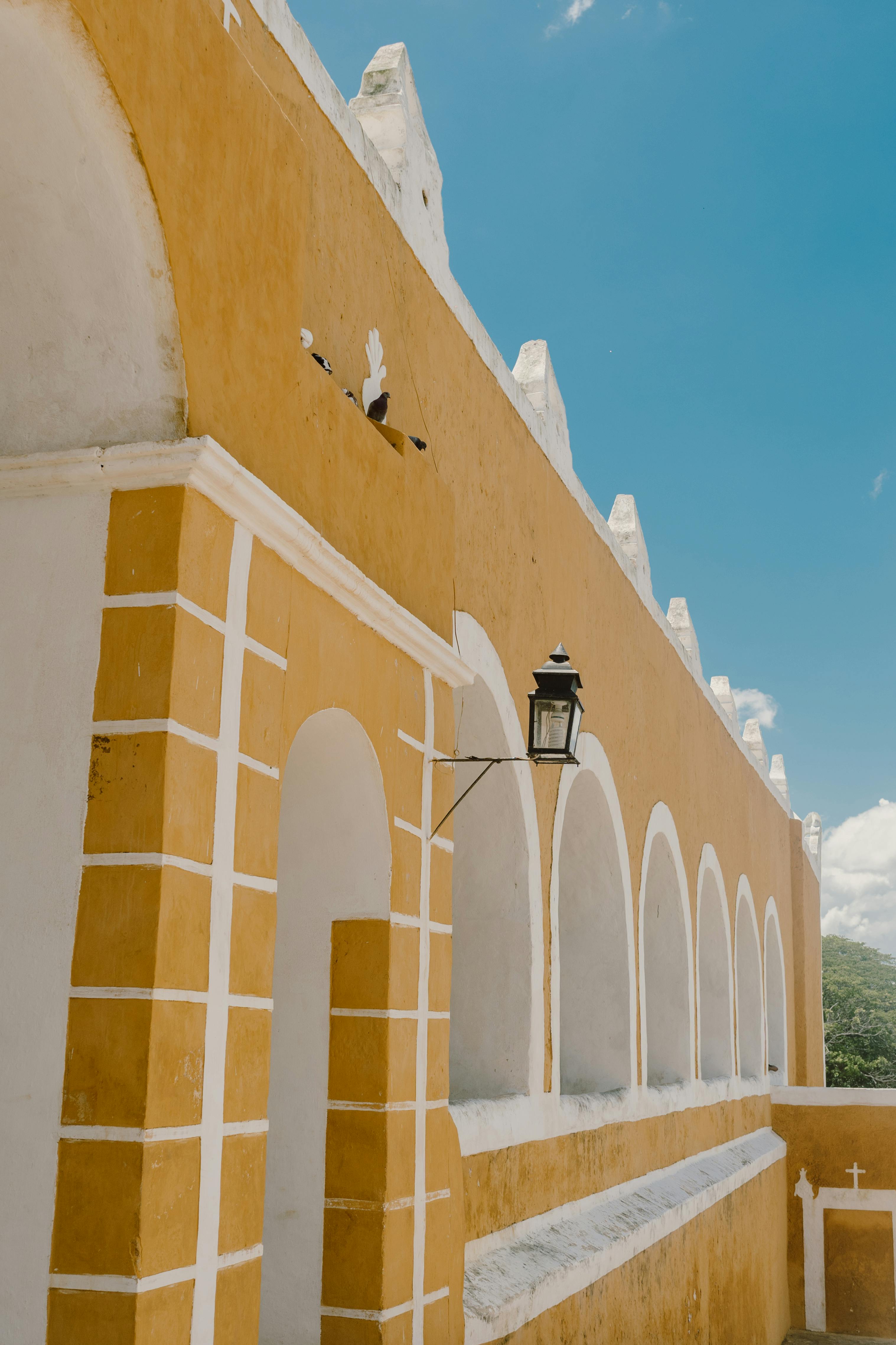 Walll Photos, Download The BEST Free Walll Stock Photos & HD Images