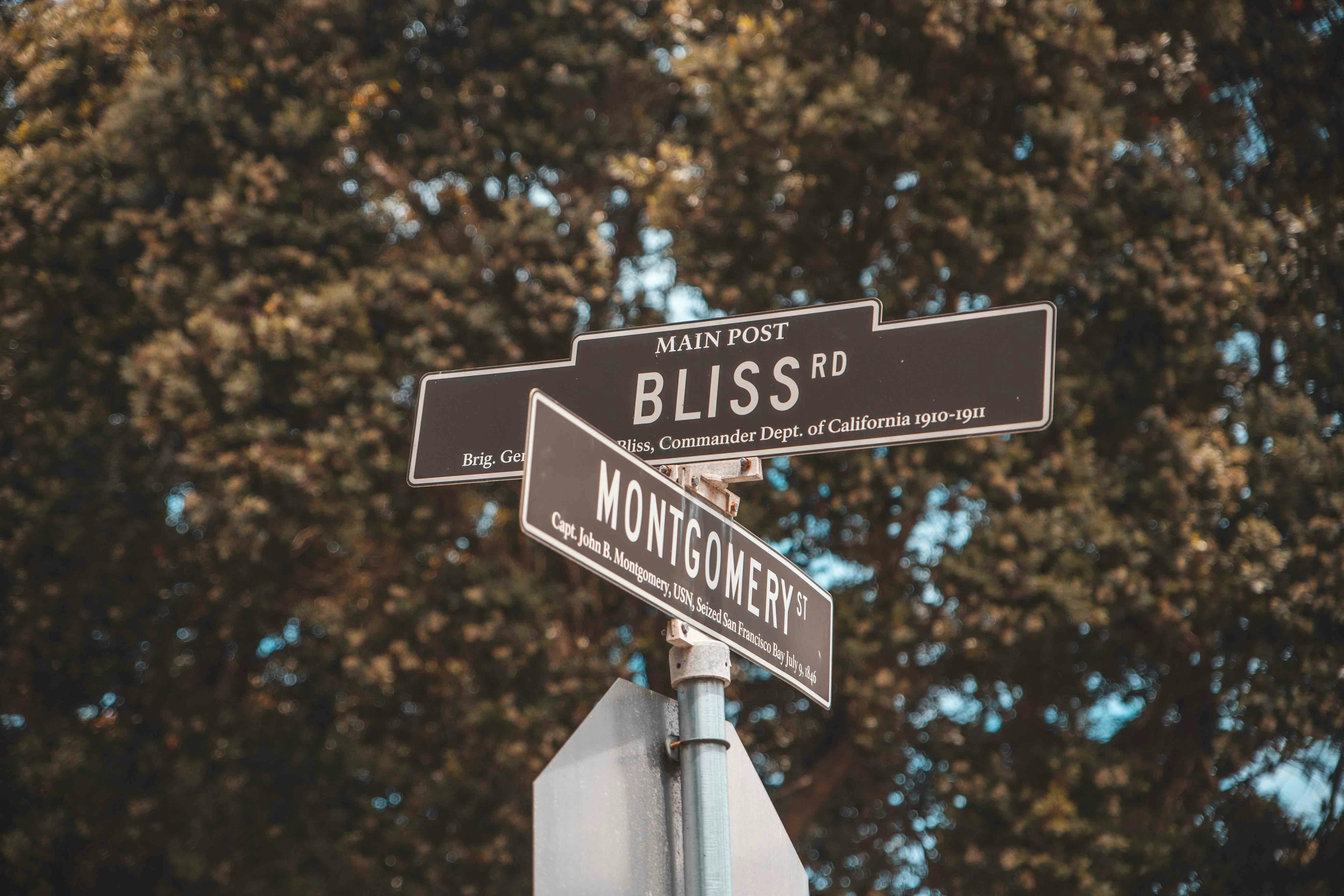 Direction Signs on a Pole · Free Stock Photo