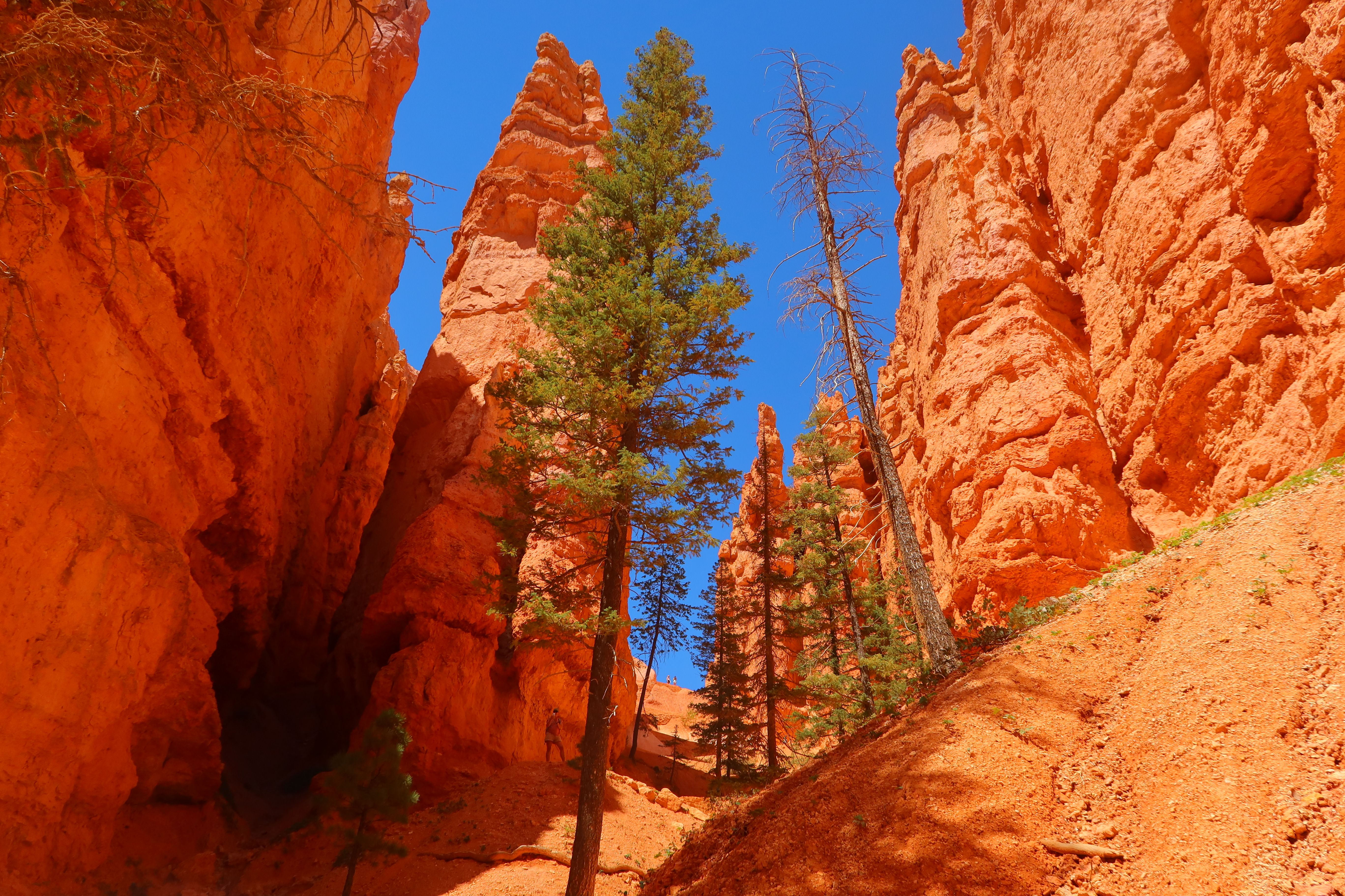 Canyon Sandstone Formations · Free Stock Photo