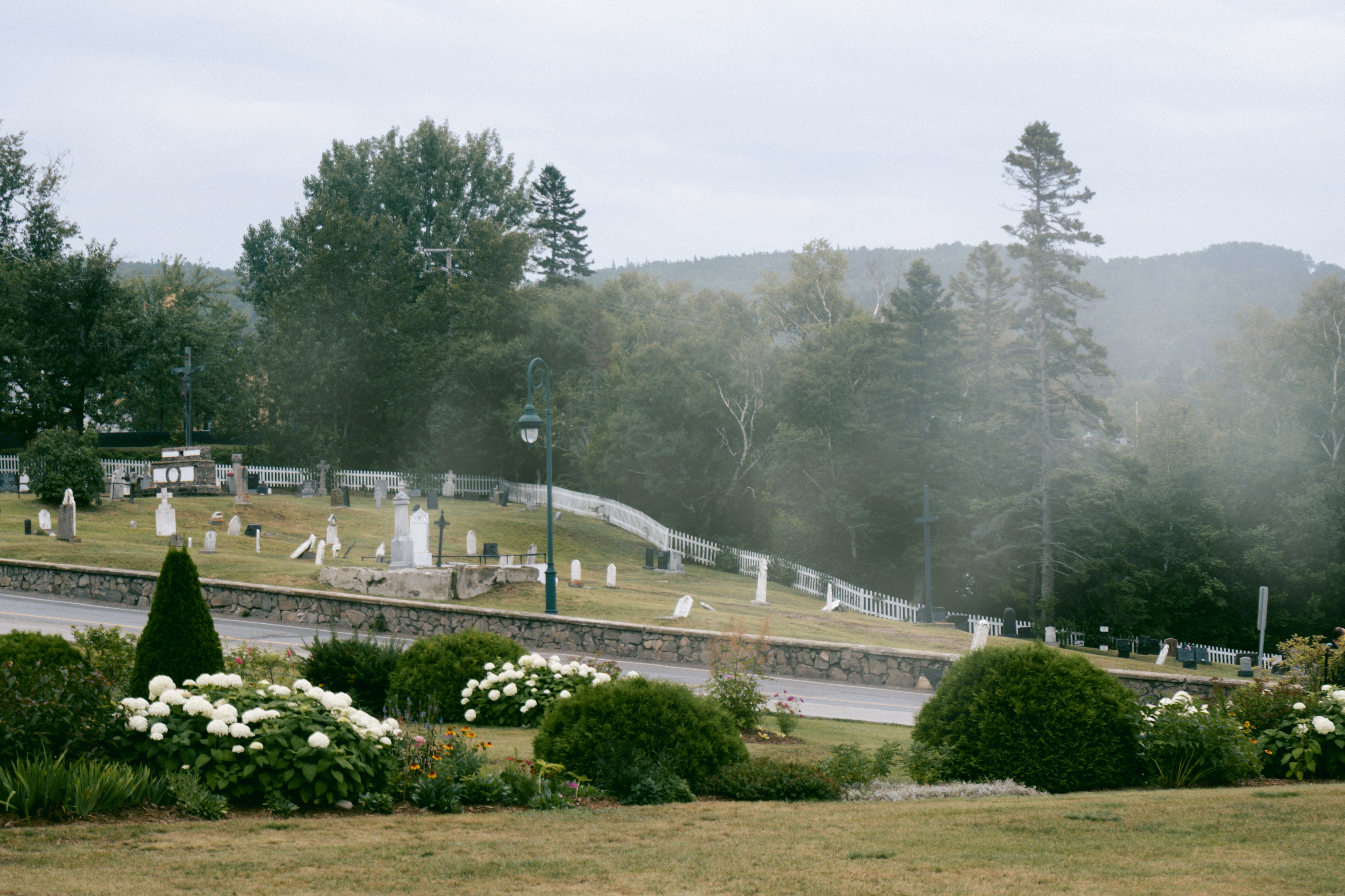 Burial Ground beside Trees · Free Stock Photo