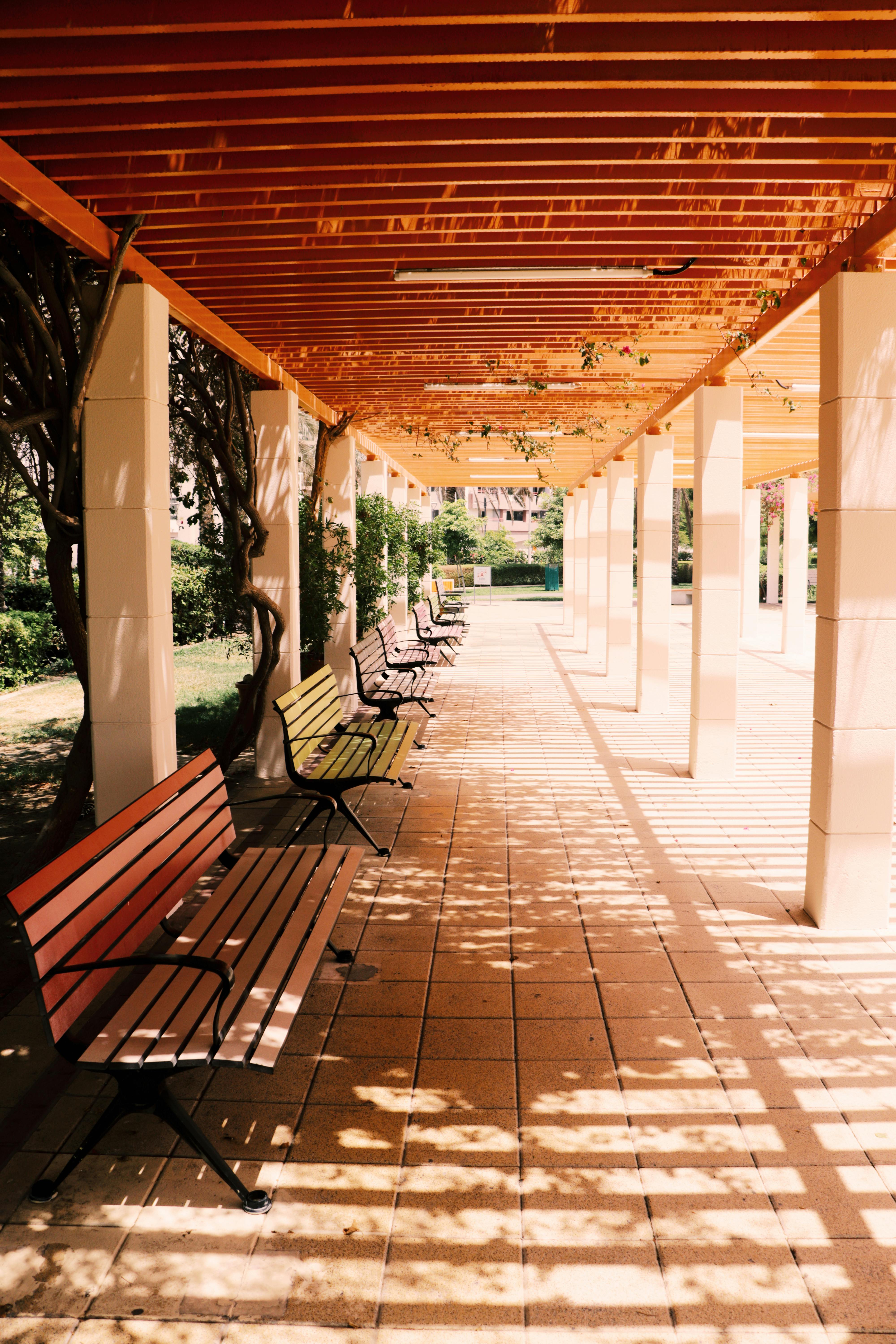 Benches Along the Walkway · Free Stock Photo