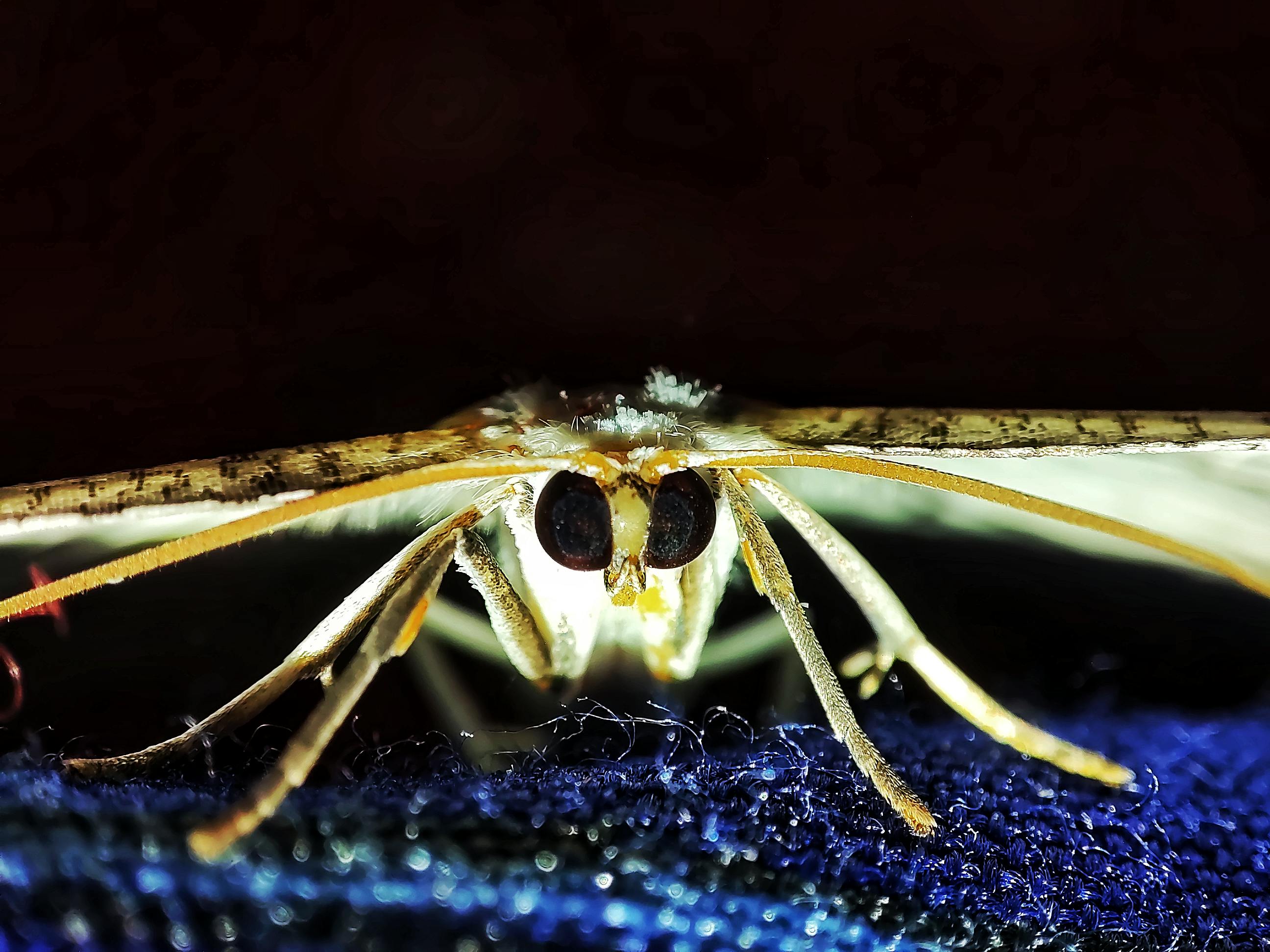 Rushikesh Shinde - Photography