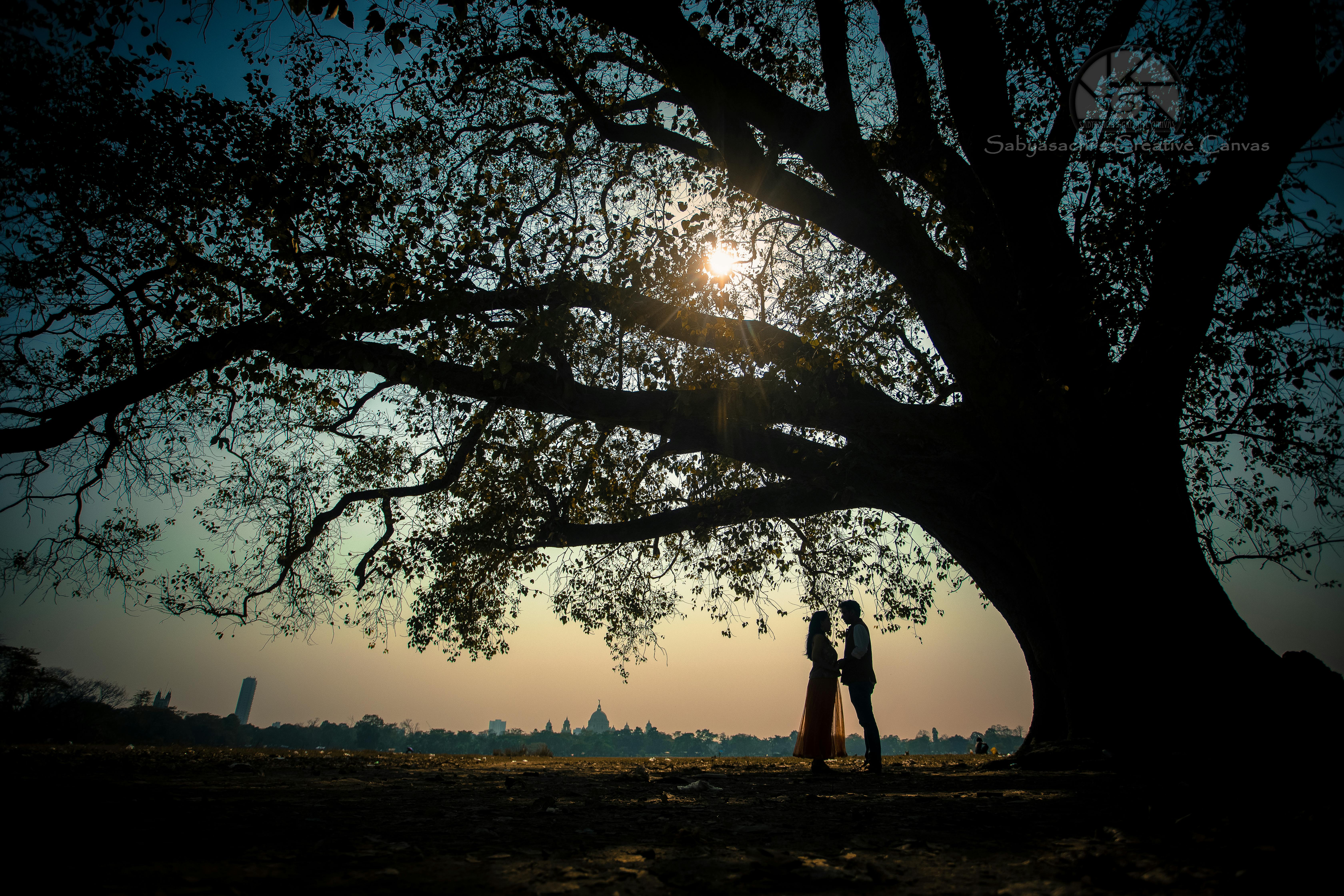 A Couple Standing Under the Tree · Free Stock Photo