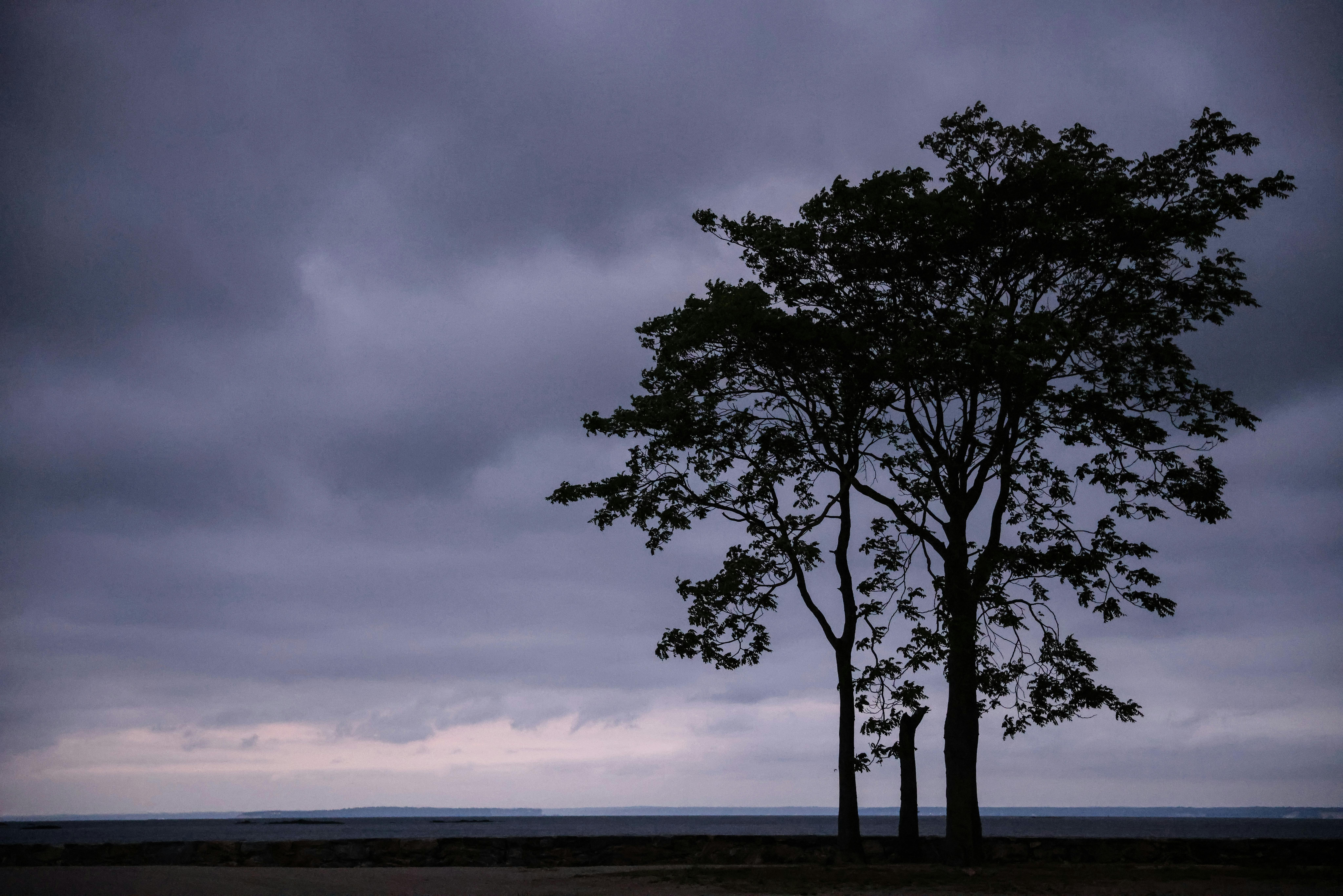 Tunjungan Plain Photos, Download The BEST Free Tunjungan Plain Stock ...