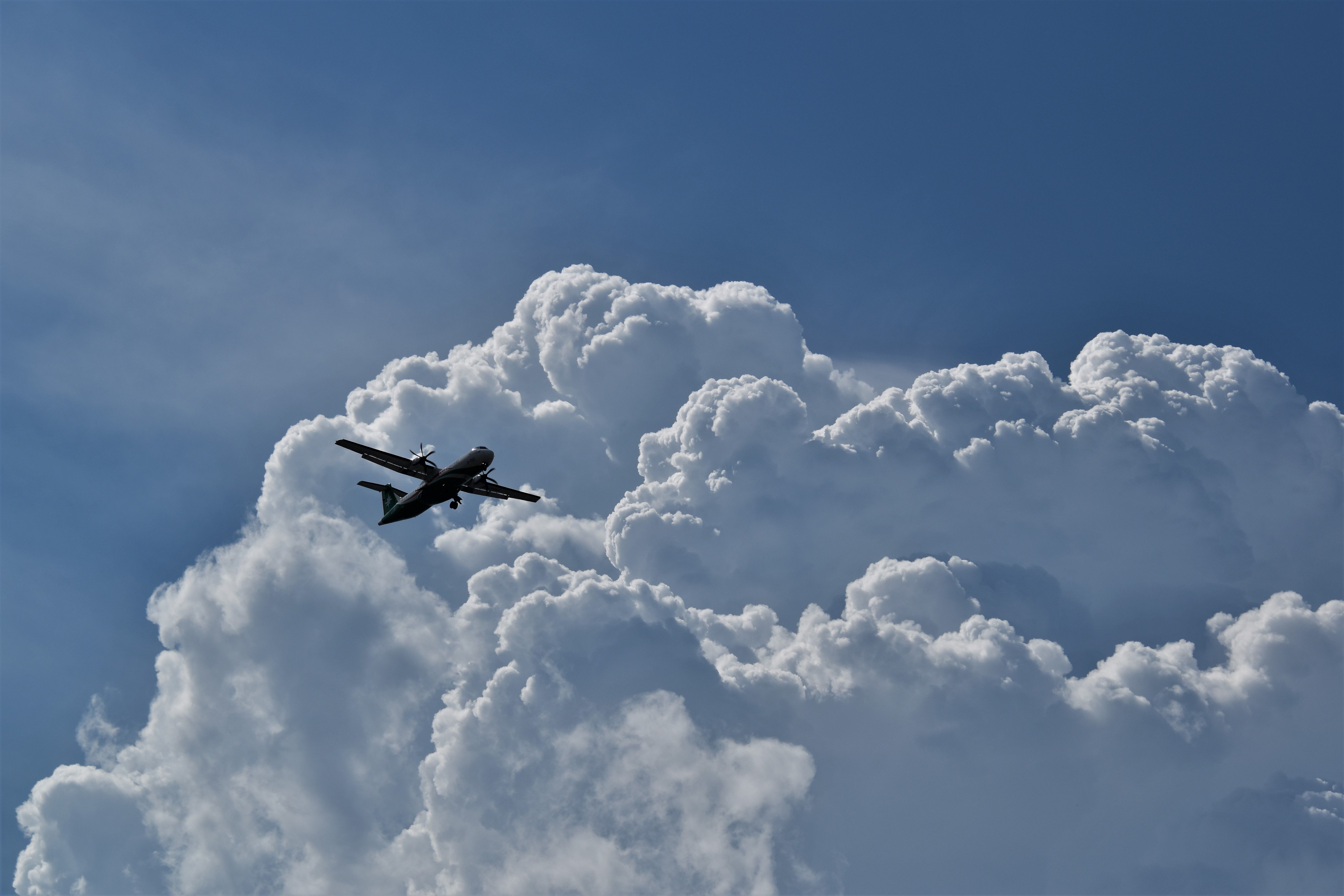 North American P-51 Mustang in flight · Free Stock Photo