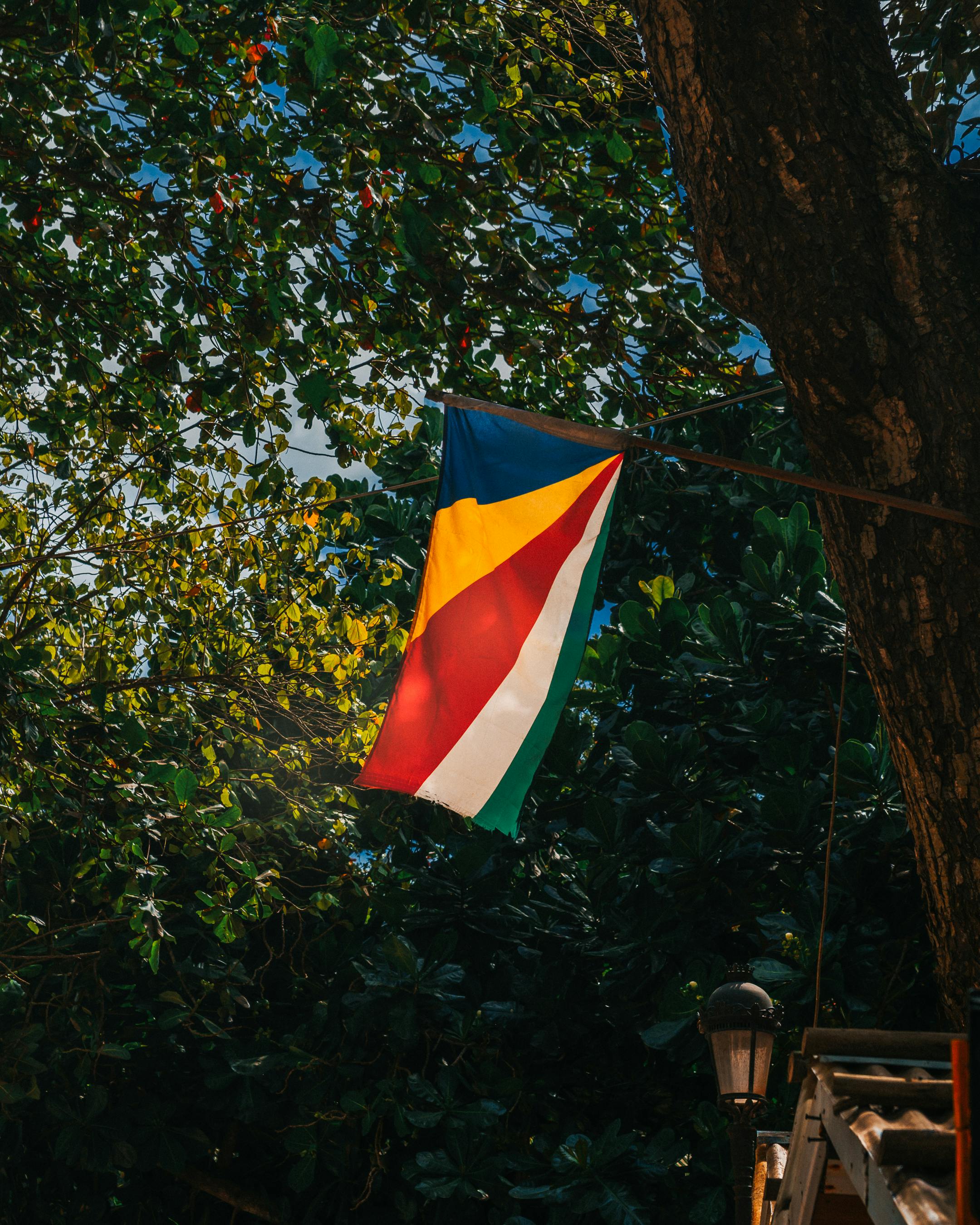 Matteo Parisi - 사진