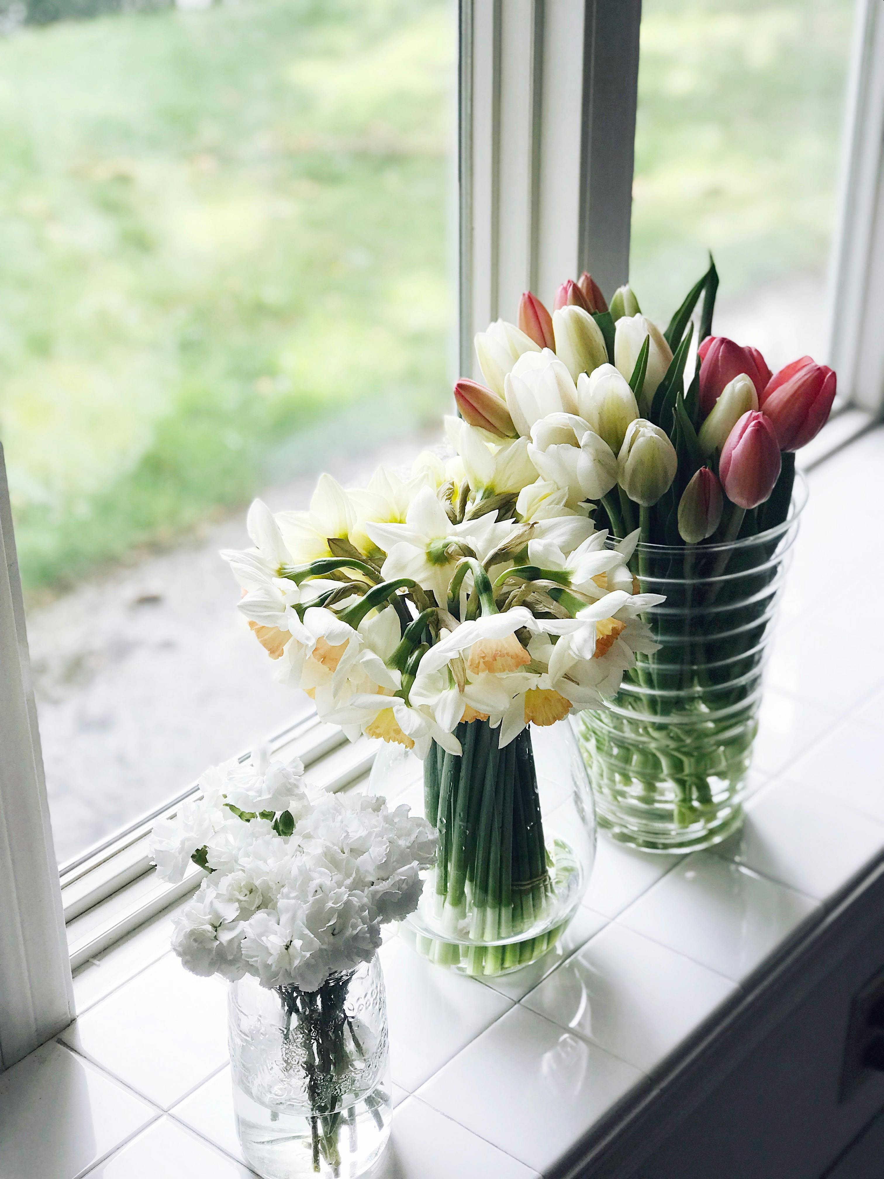Flowers in Vase on Windowsill · Free Stock Photo