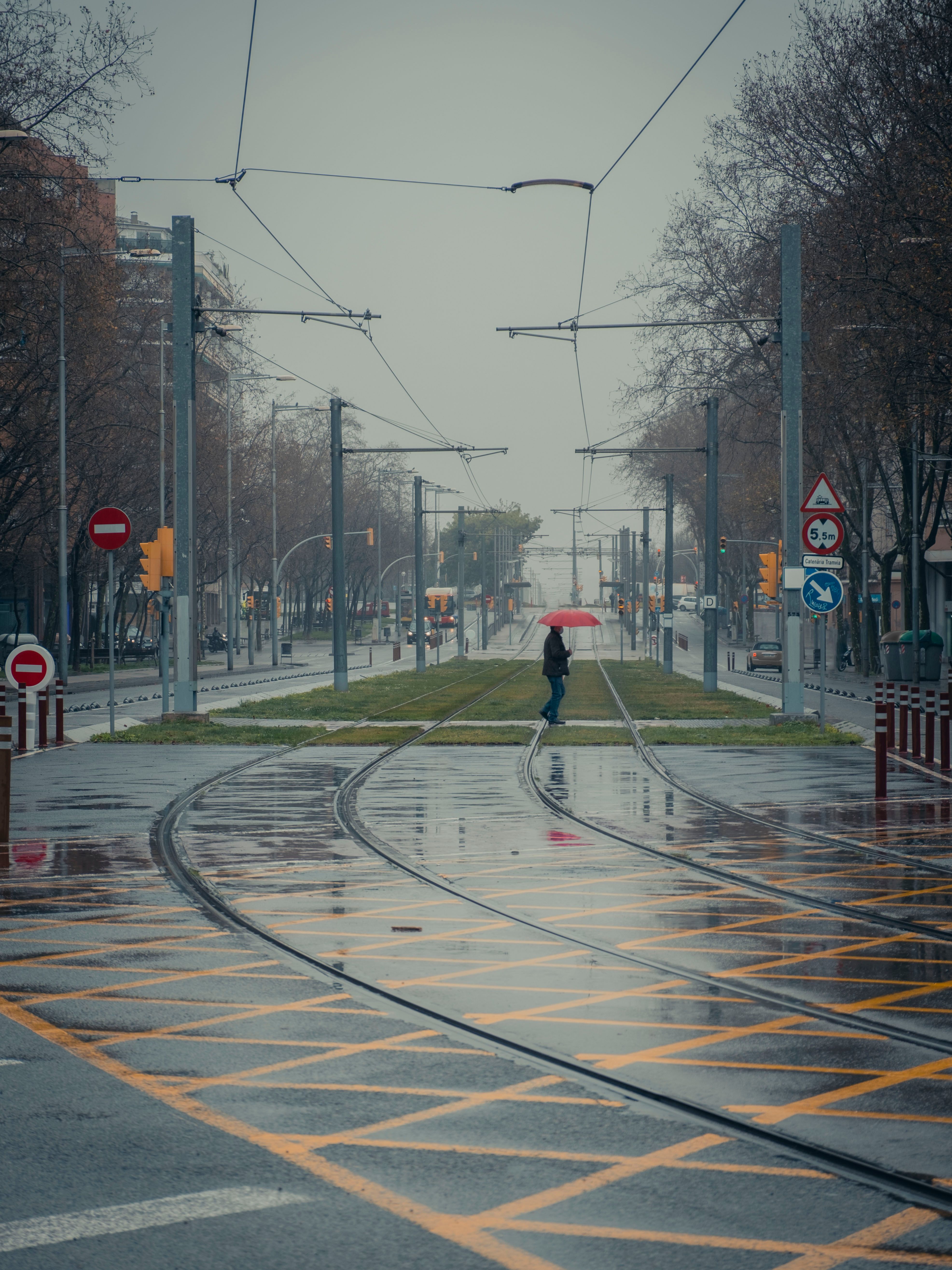 Rainy Cityscape with a Tram Line Tracks · Free Stock Photo