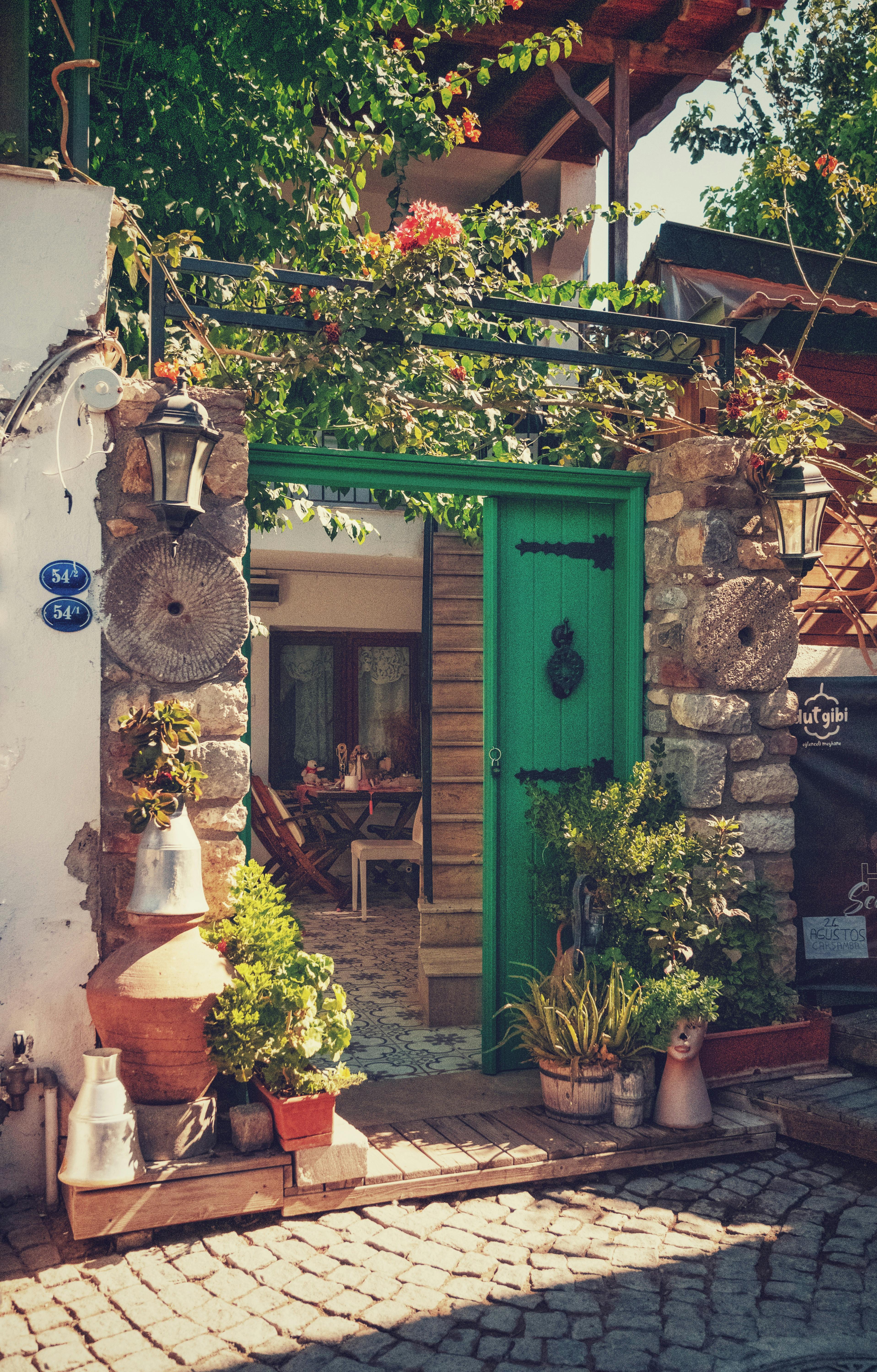 Potted Plants Near a Green Wooden Gate · Free Stock Photo