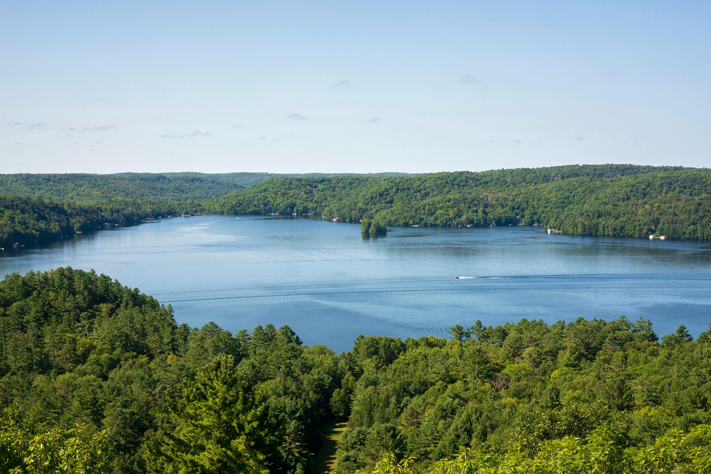 View of a Green Trees and Lake · Free Stock Photo