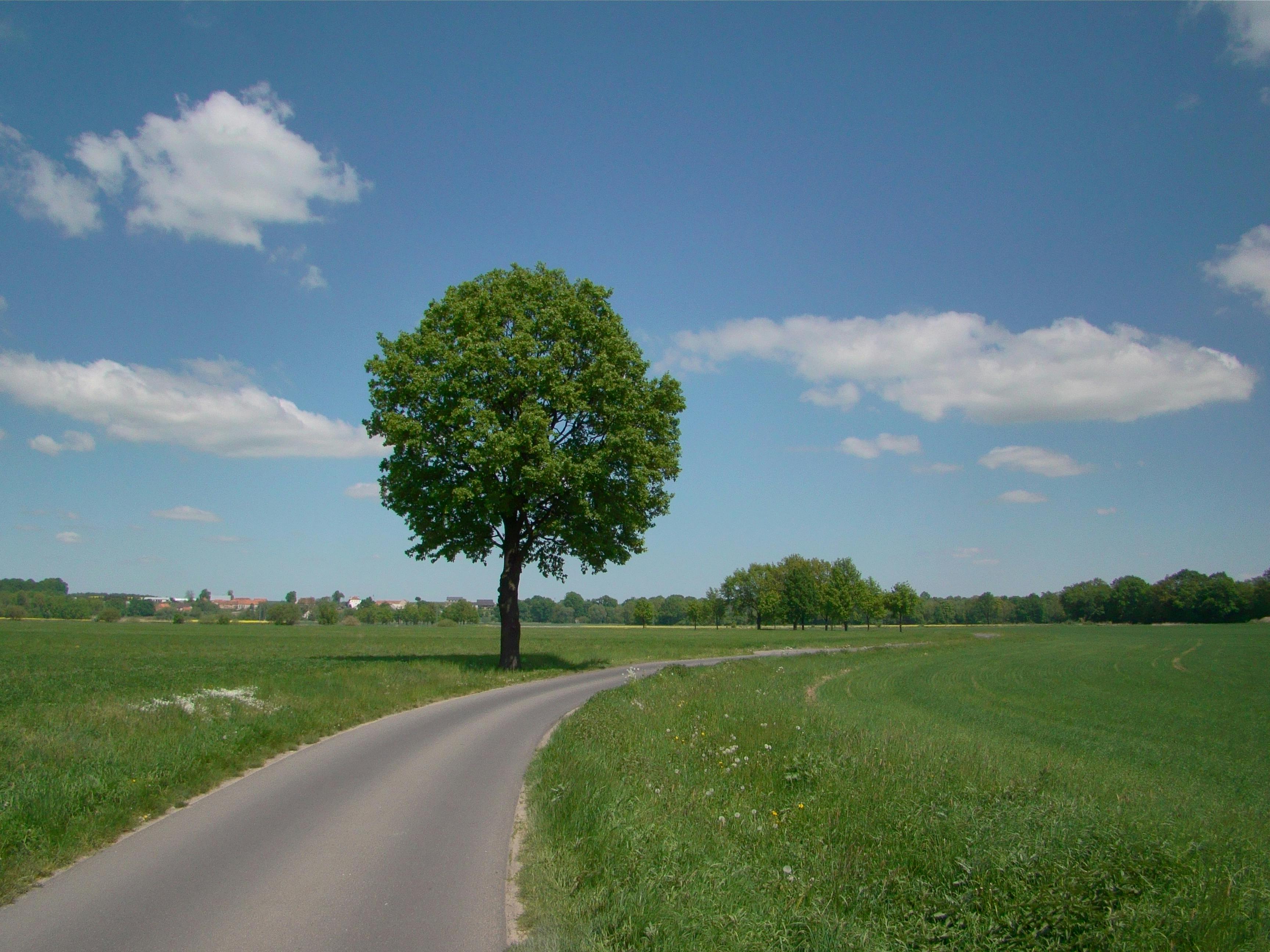 A Mountain Footpath · Free Stock Photo