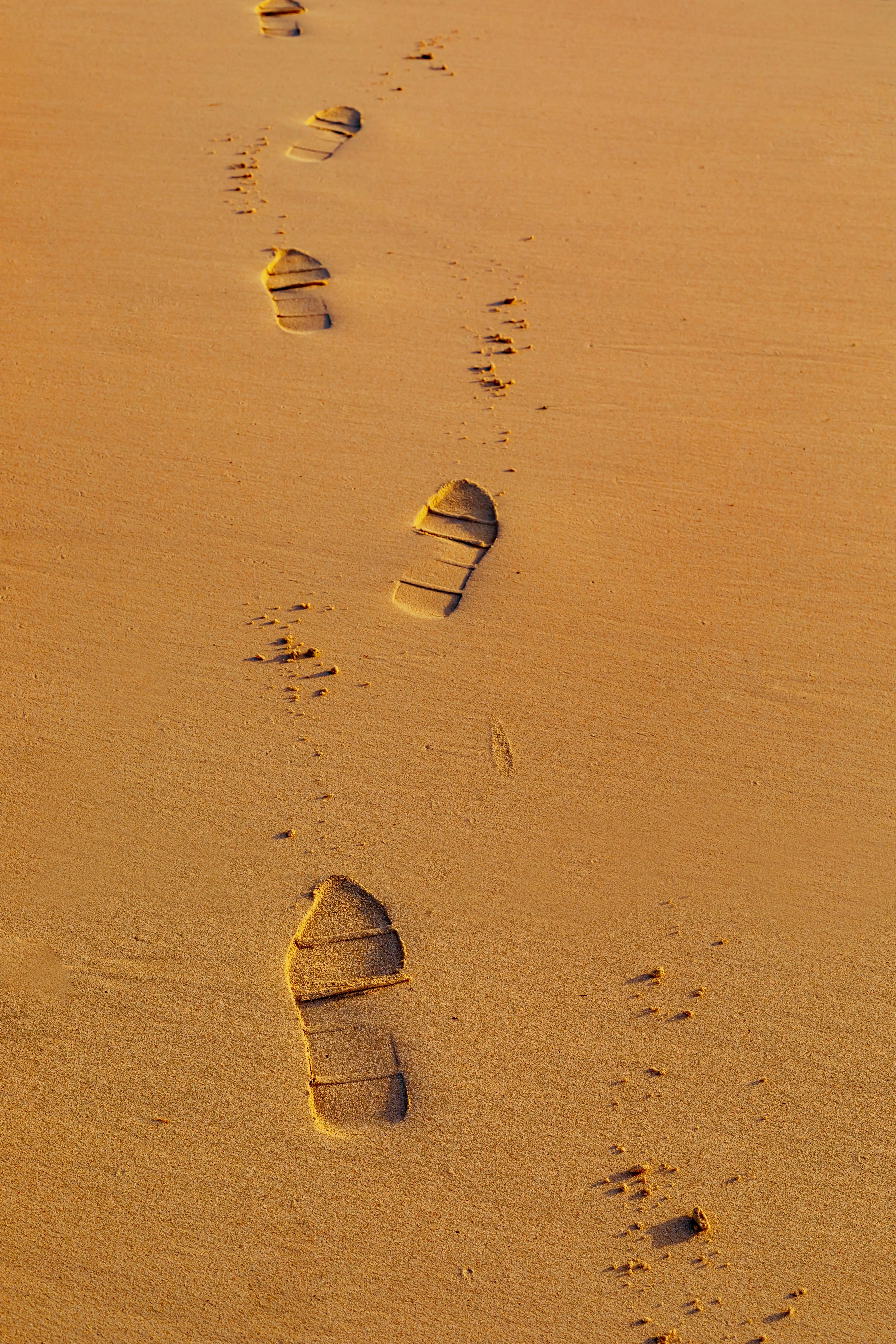 Footprints on the Sand · Free Stock Photo