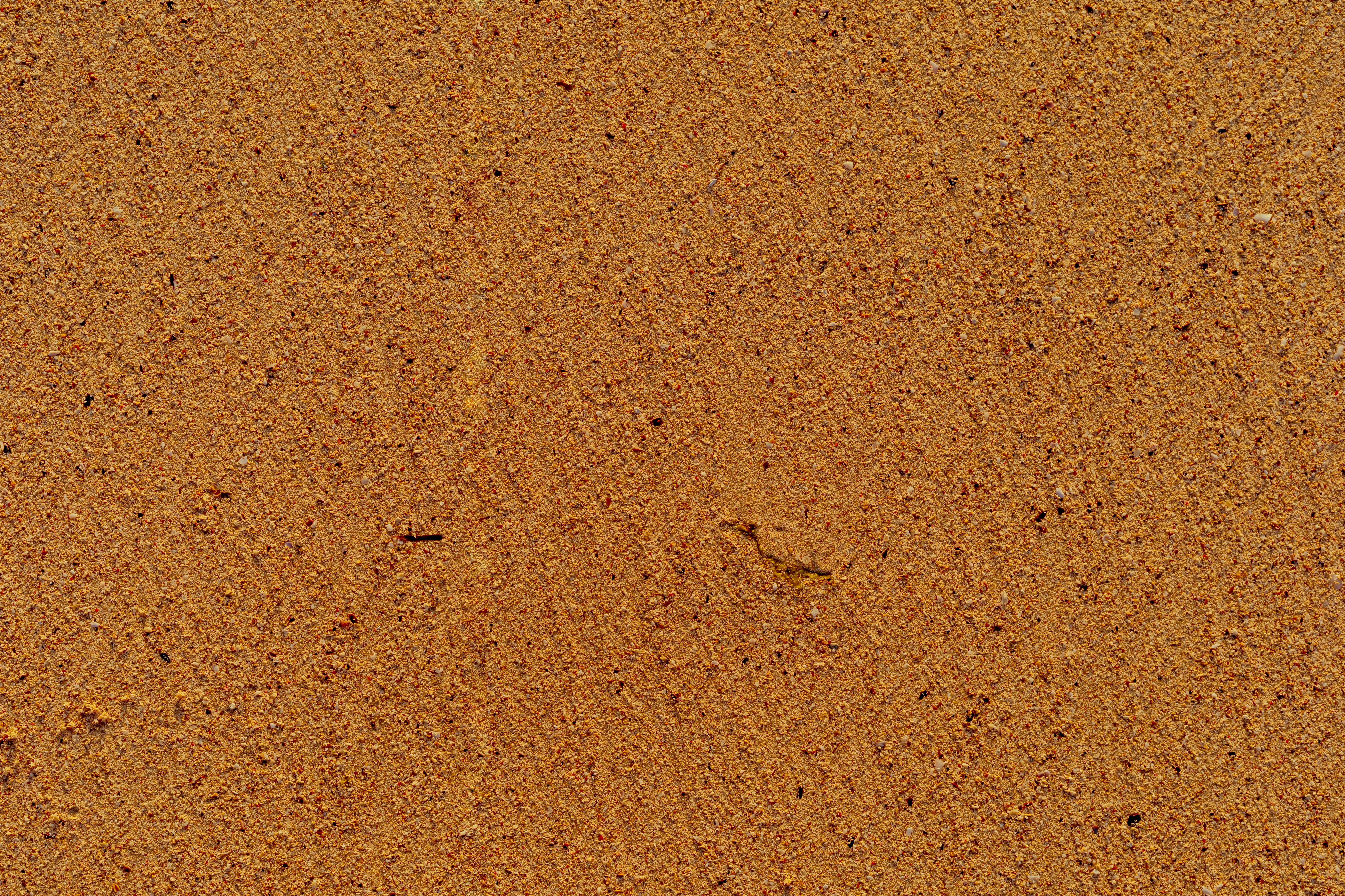 Close up of Sand Surface · Free Stock Photo