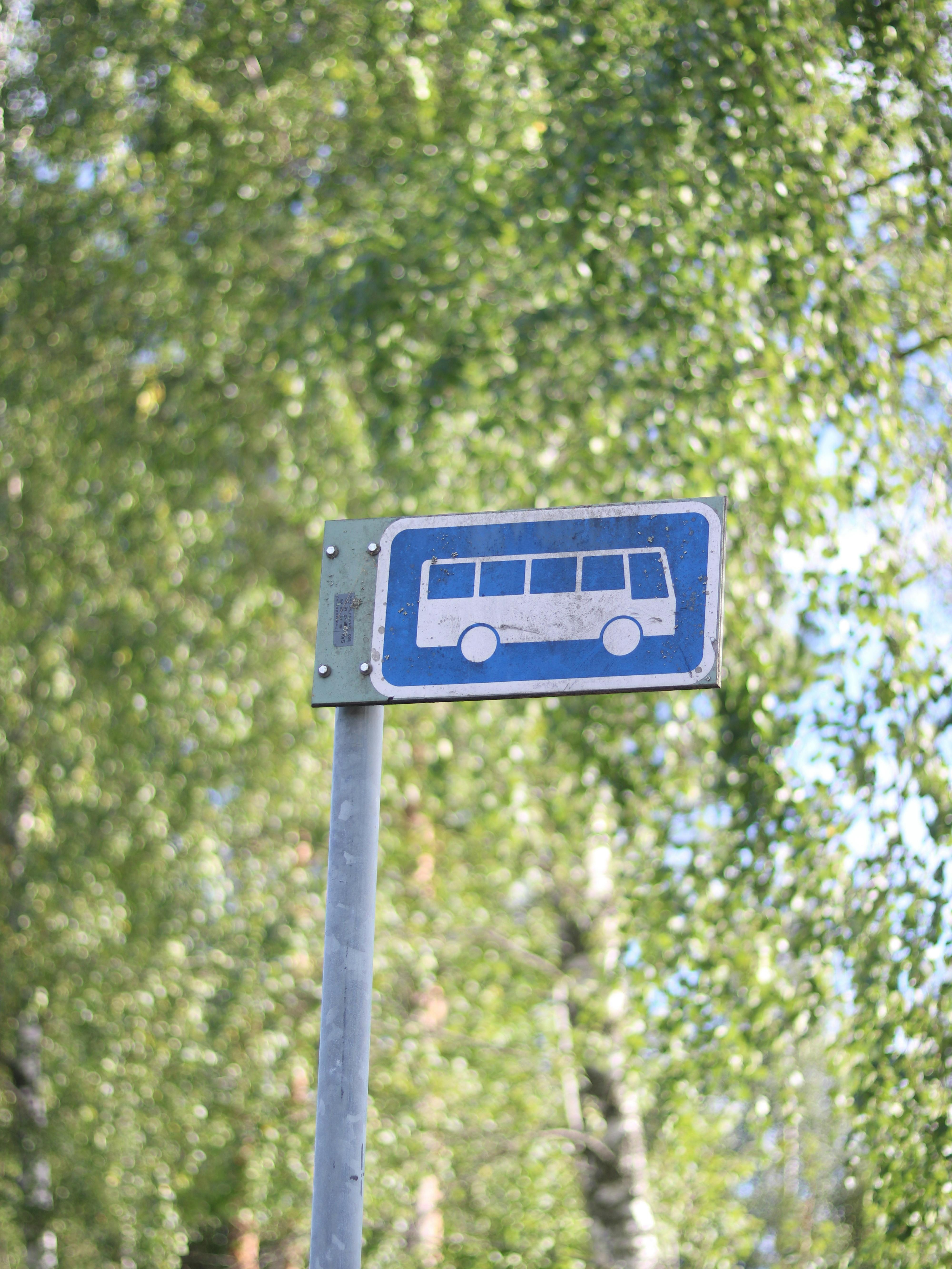 Bus Stop Printed on Asphalt Road · Free Stock Photo