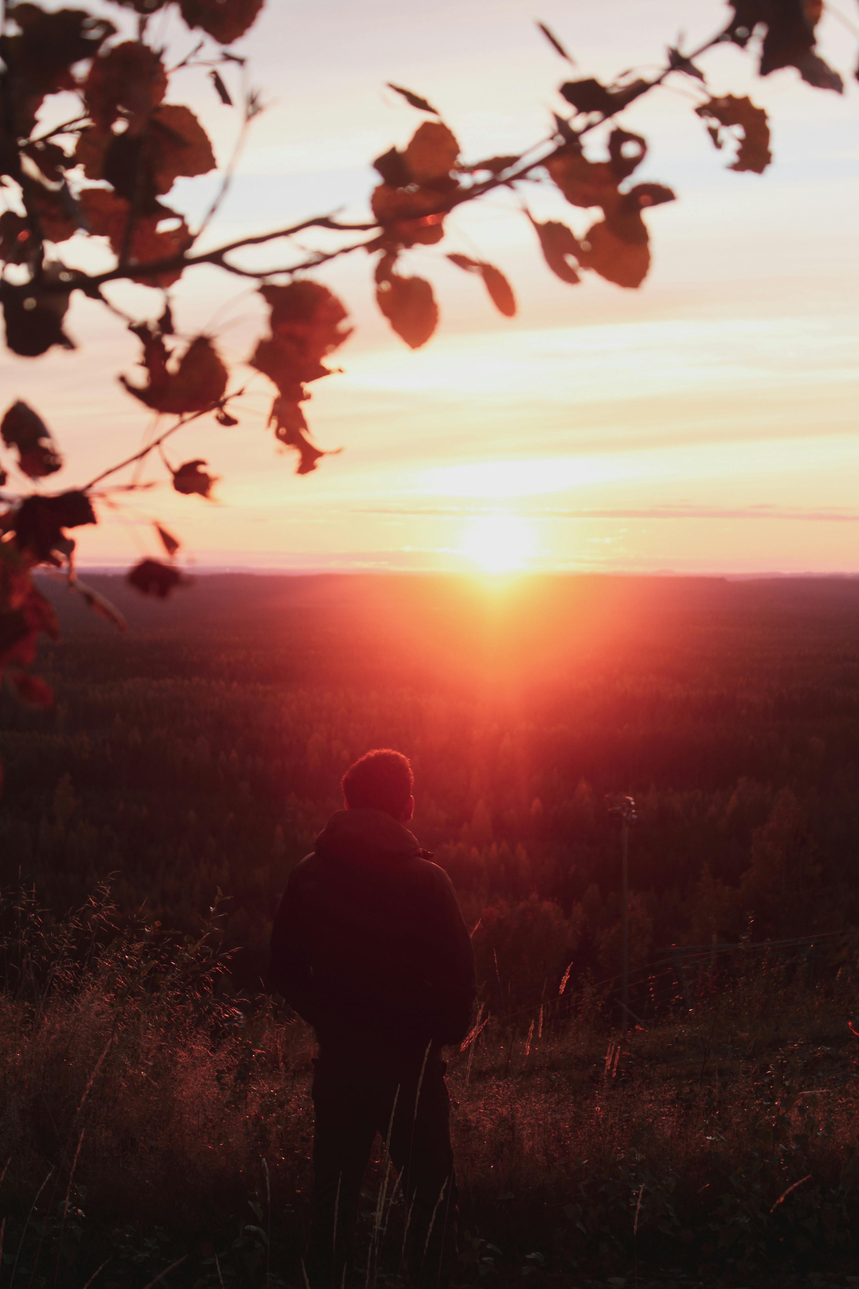 Back View of a Man Looking at the Sunrise · Free Stock Photo