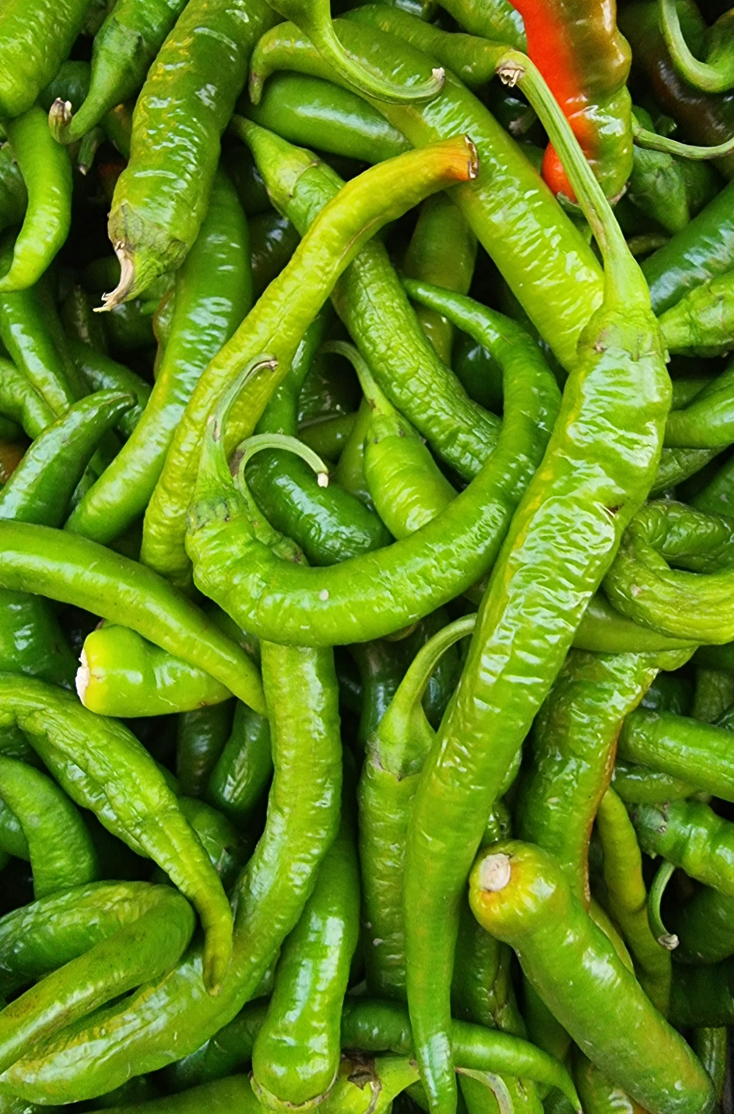 Close-Up Photo of Green Chilies · Free Stock Photo