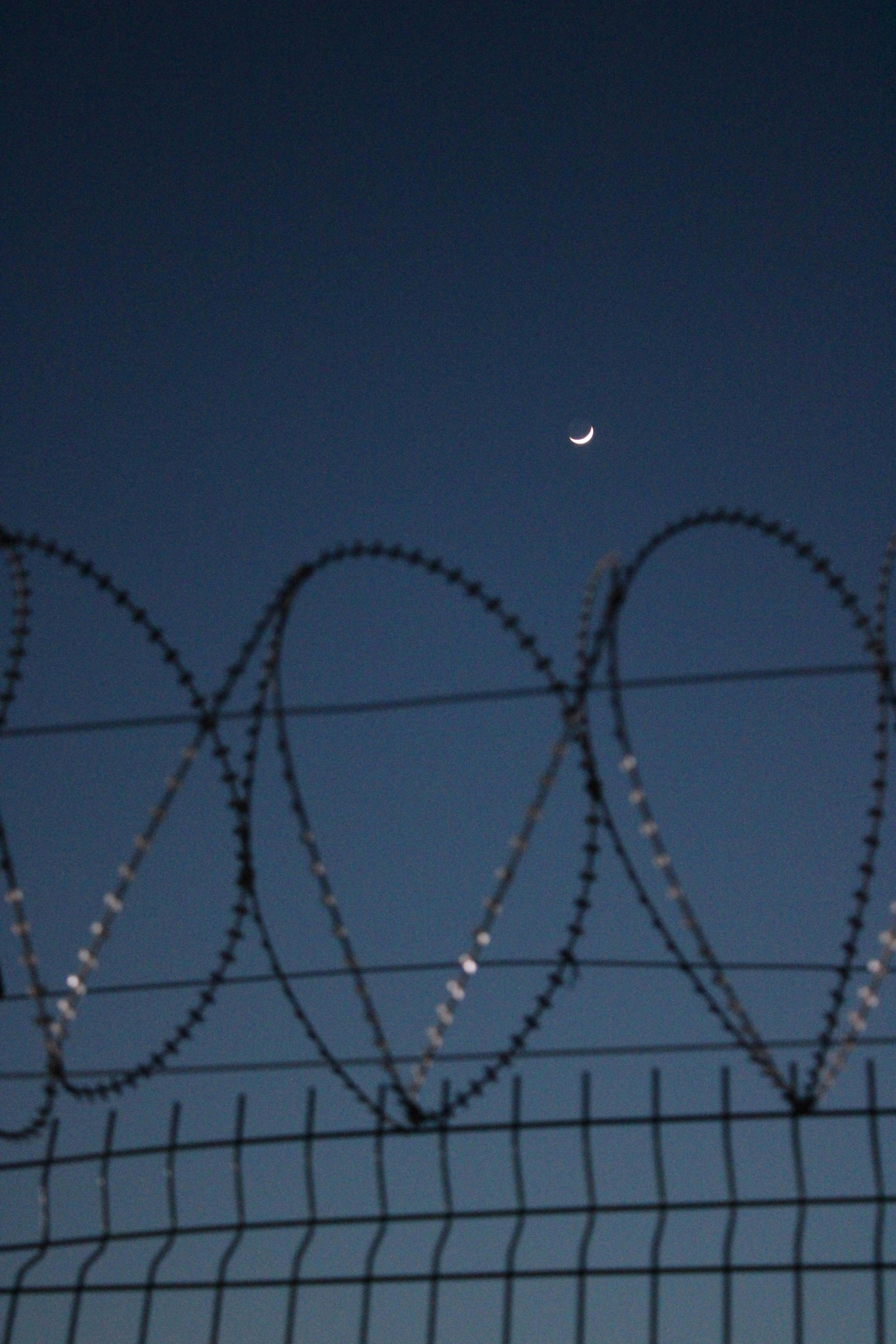 Barbed Wire against Night Sky · Free Stock Photo