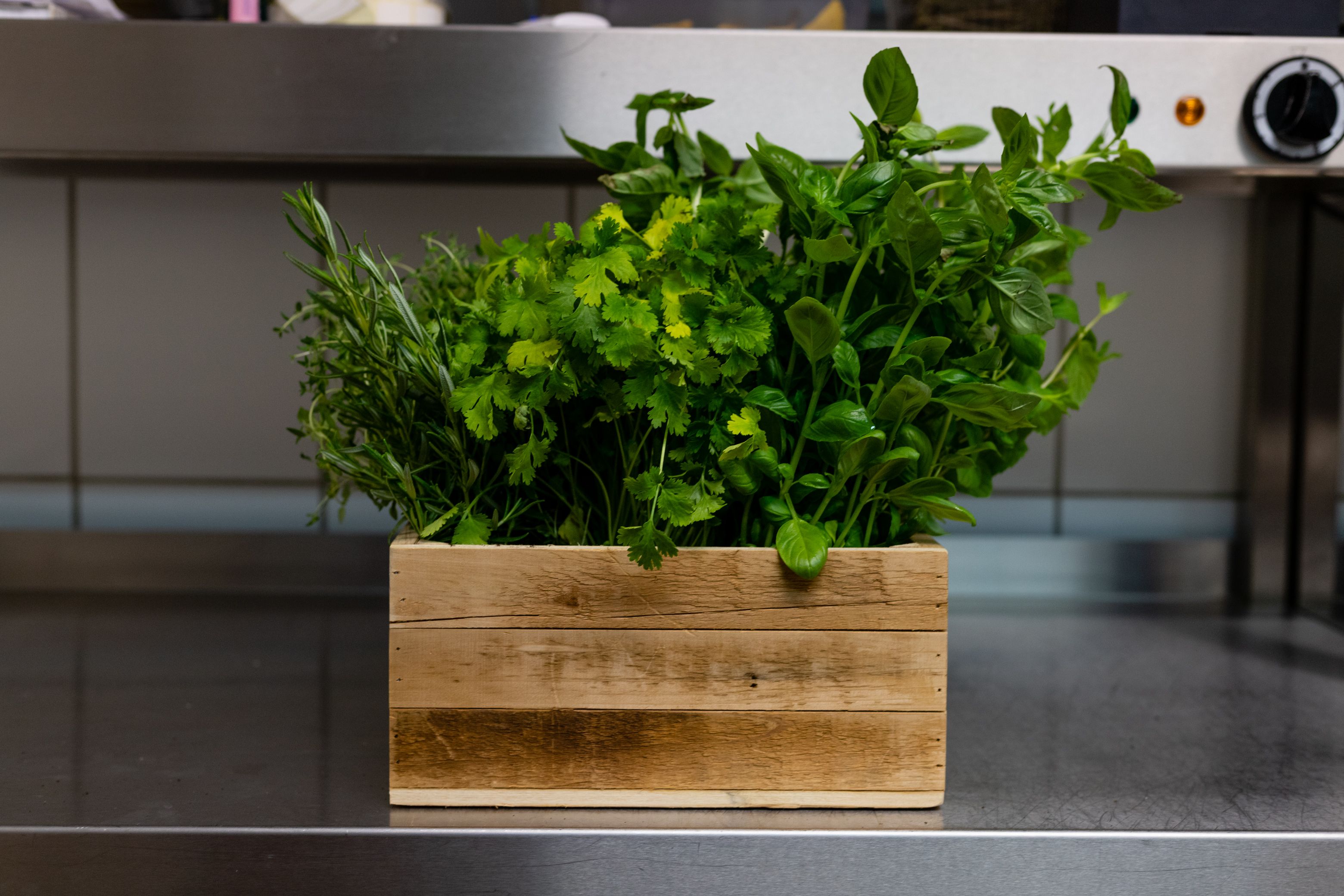 Robertsons Herbs and Spices · Free Stock Photo
