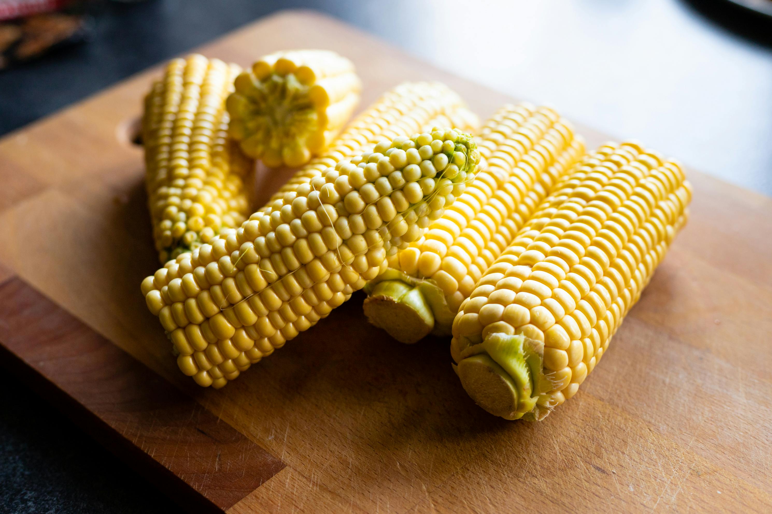 Ginger in Close Up Shot · Free Stock Photo